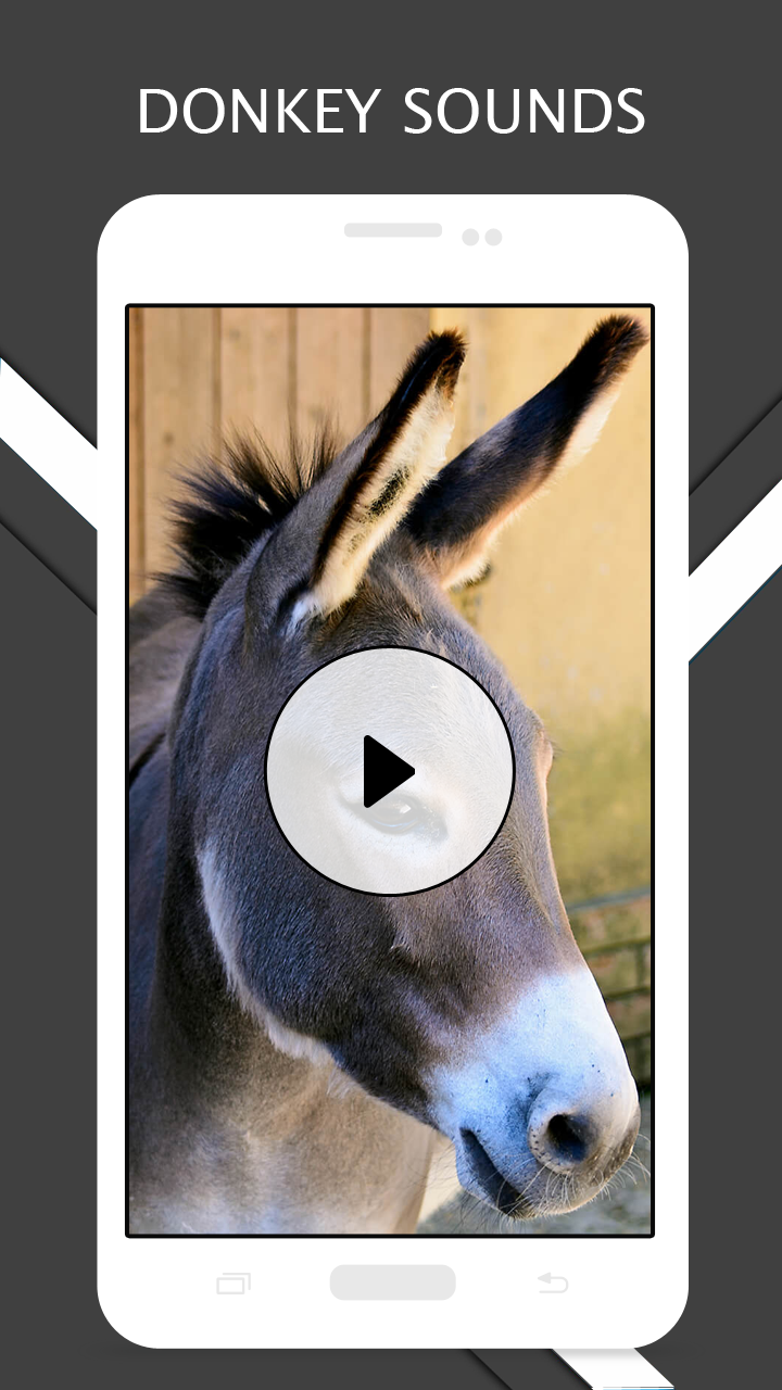 Donkey Sounds - App on Amazon Appstore