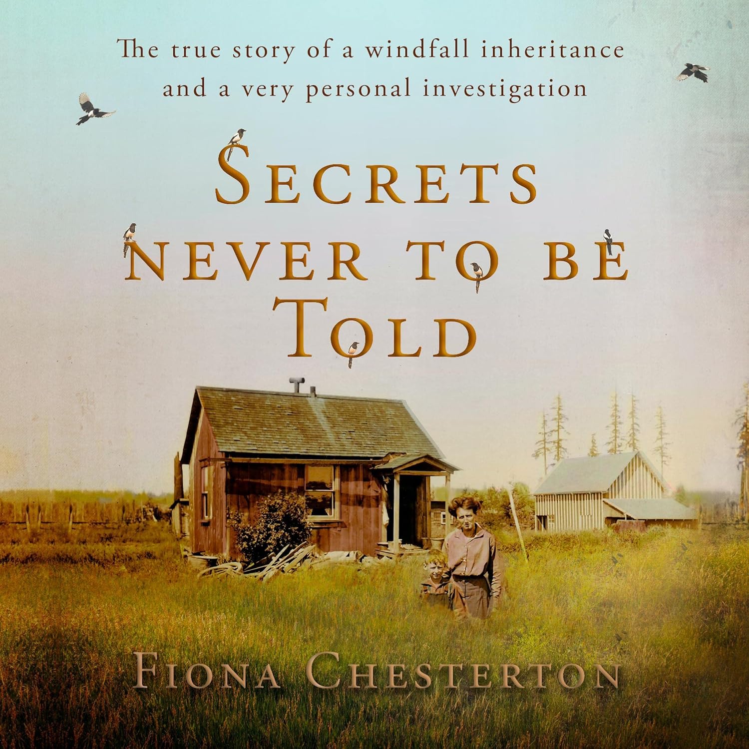 Amazon.com: Secrets Never to Be Told: The True Story of a Windfall ...