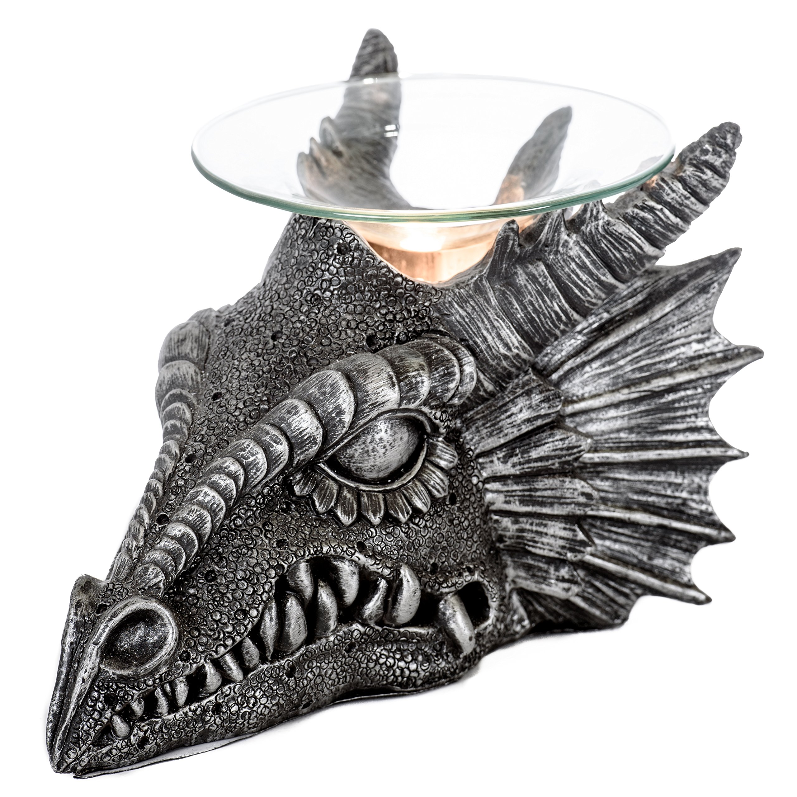 Amazon.com: Dragon Head Poly Resin Electric Oil Warmer - Wax Tart ...