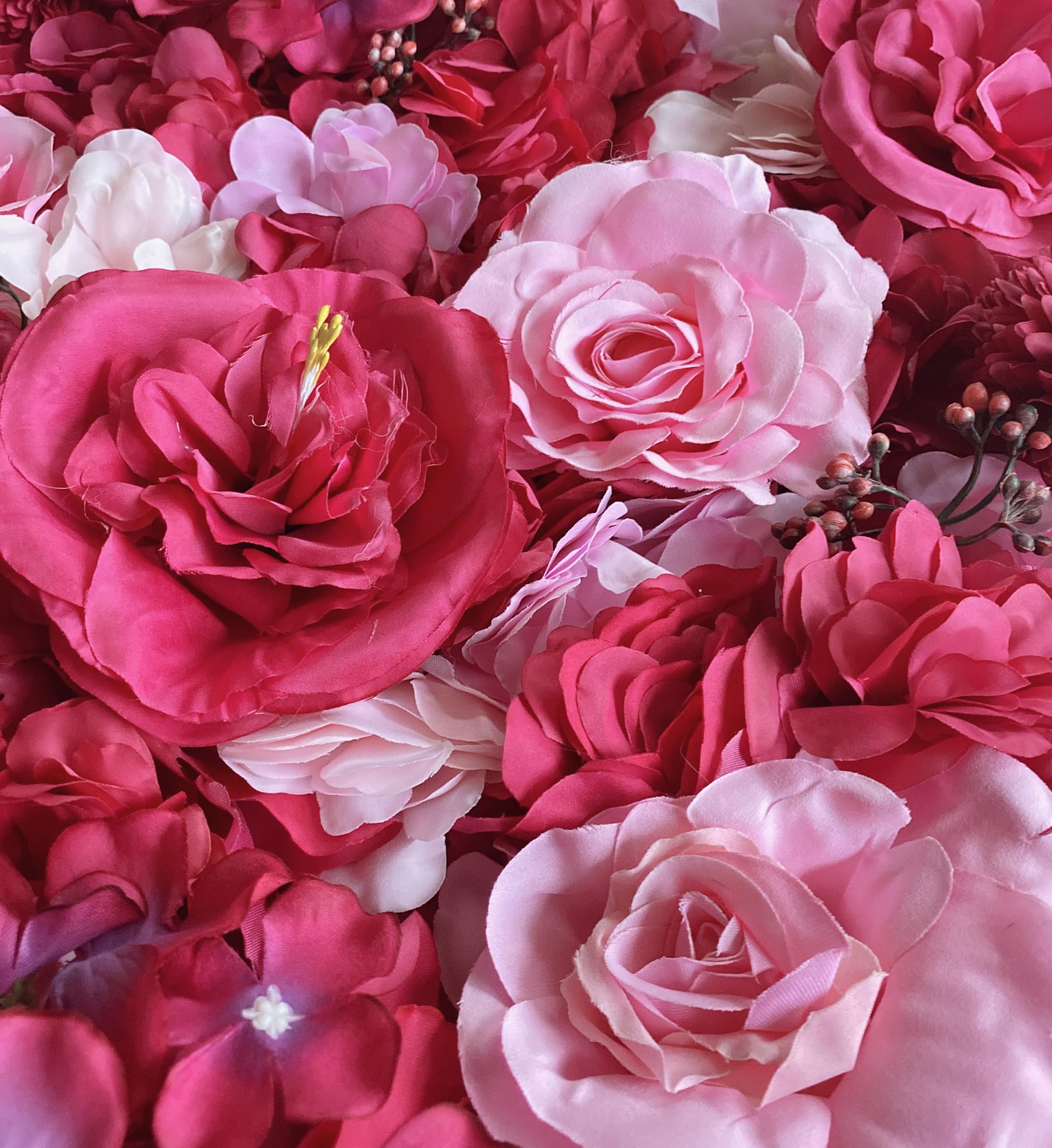 Fondo De Flores De Color Rosa Intenso Descubre La Rosa Del Desierto: