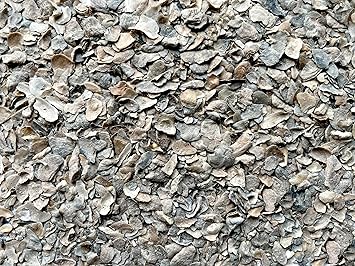 Amazon.com: MIGHTY109 Natural Crushed Oyster Shell for Bocce Ball Court ...