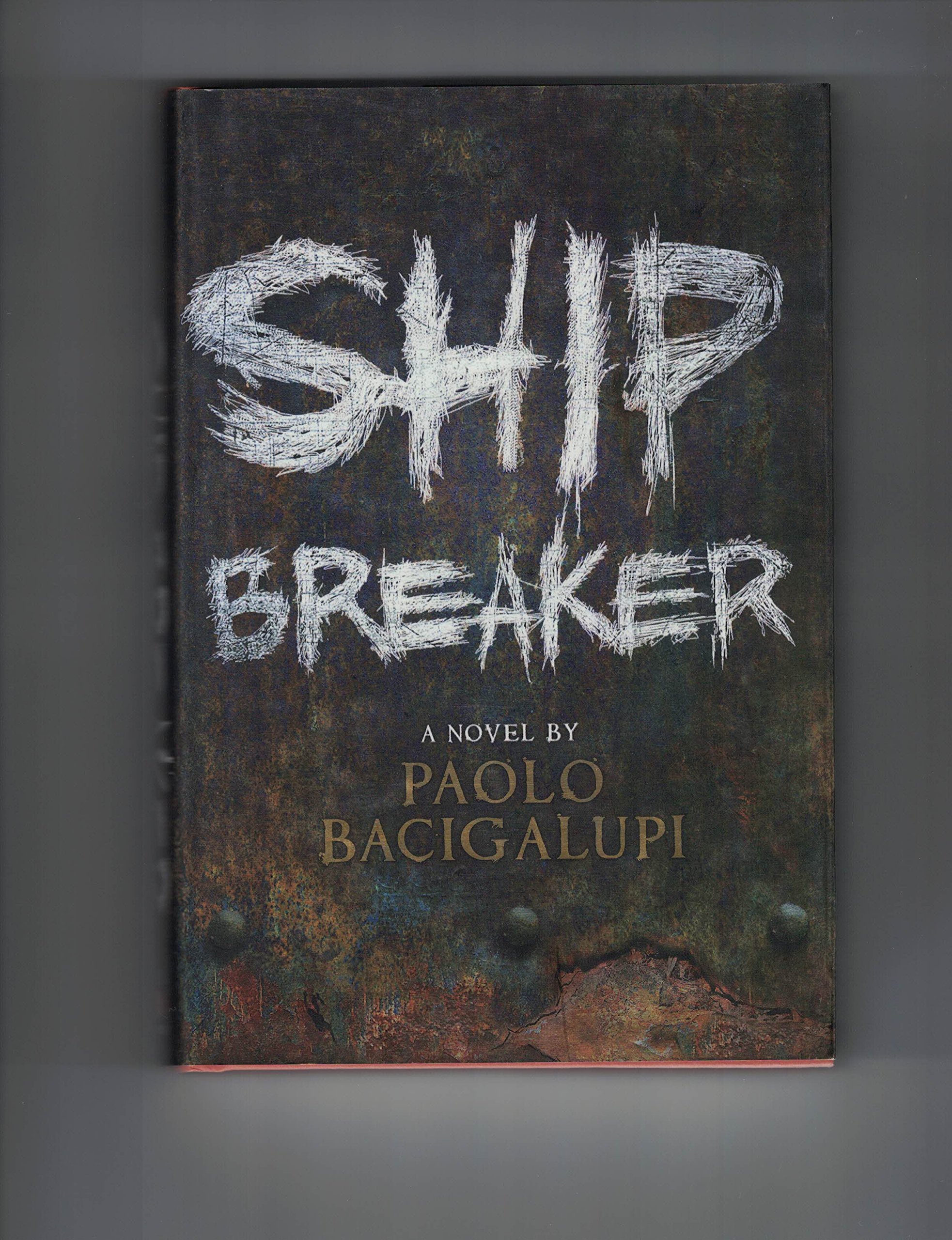 Ship Breaker : Bacigalupi, Paolo: Amazon.ca: Books