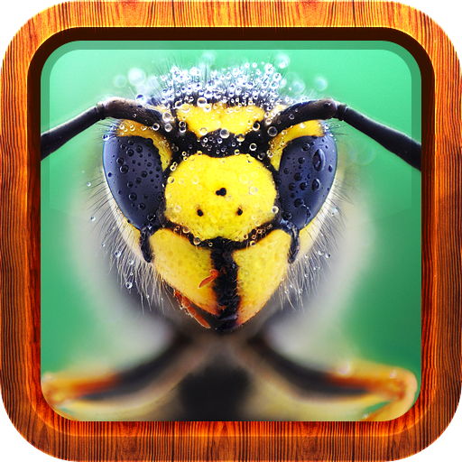 Beekeeping - App on Amazon Appstore