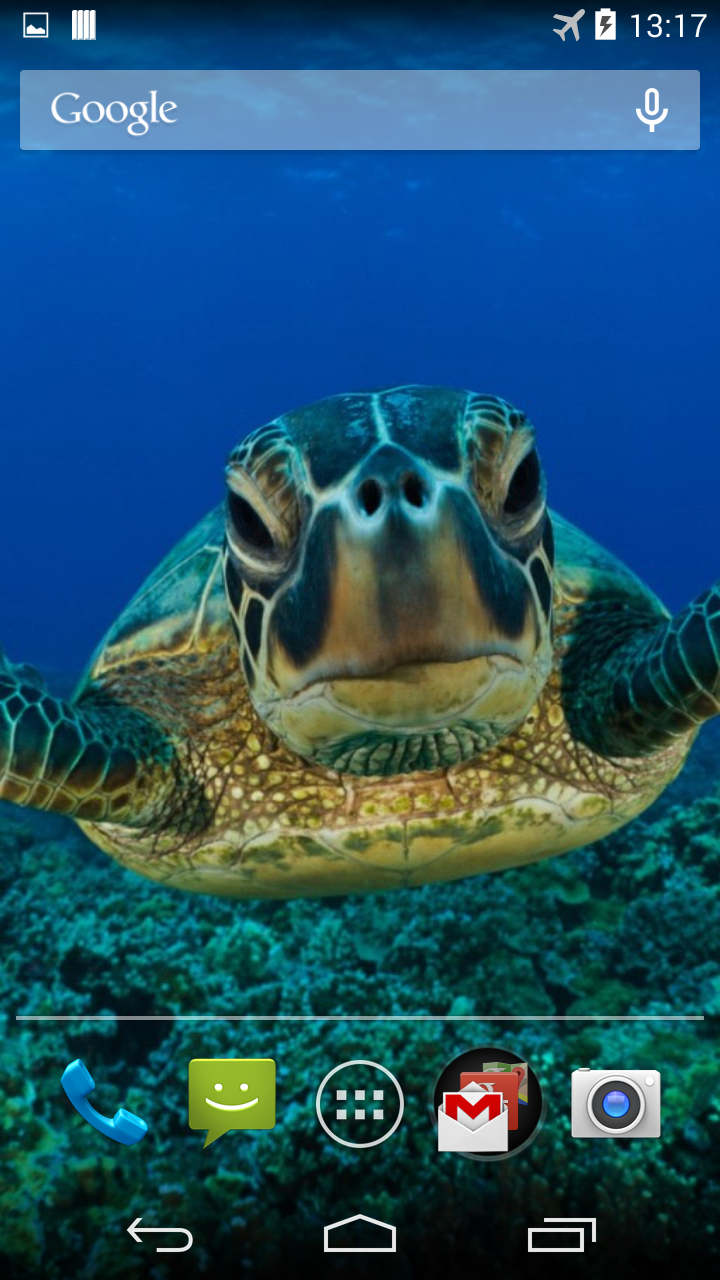 Sea Turtle Live Wallpaper - App on the Amazon Appstore