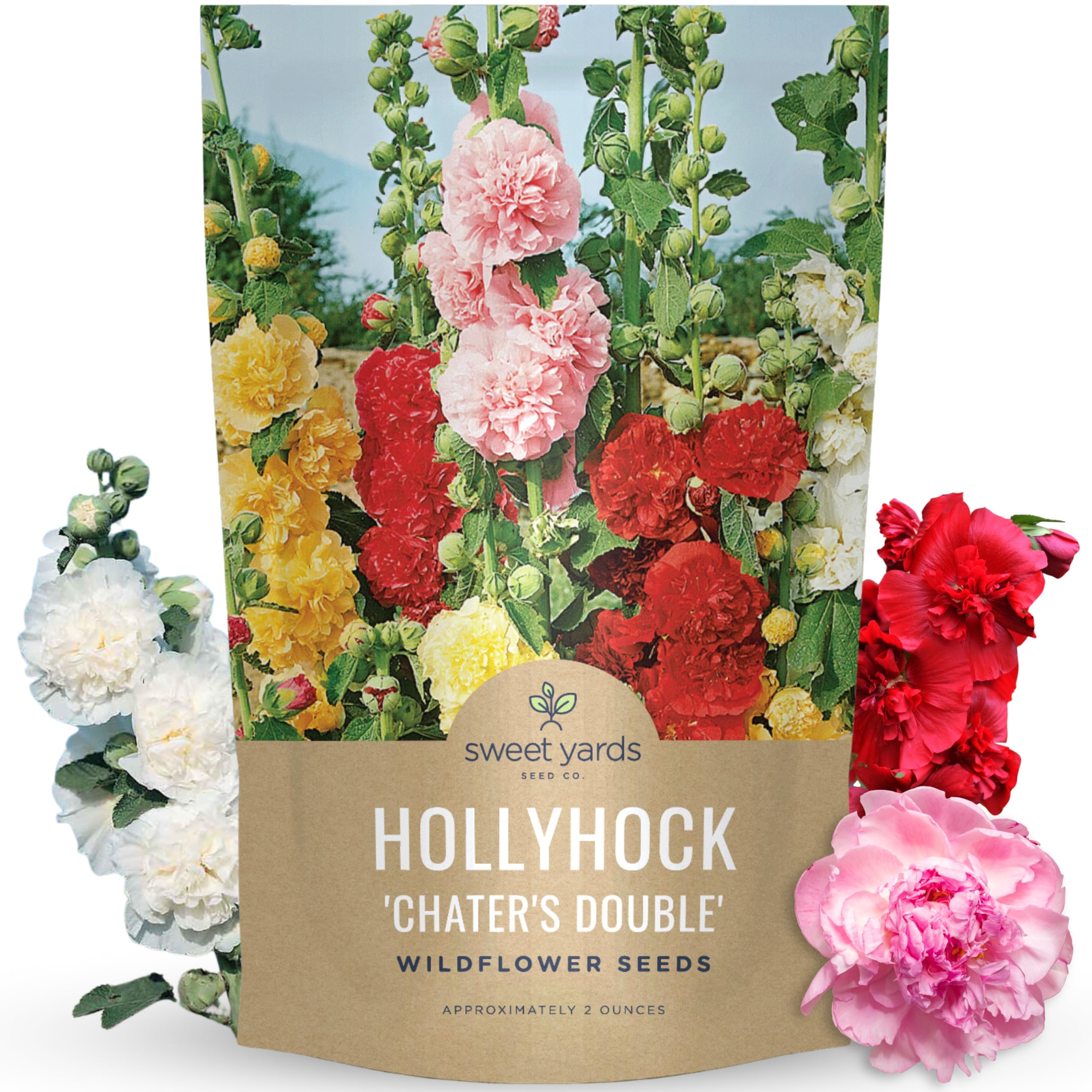 5 Best Chaters Double Hollyhock | Skip the Seed Gamble