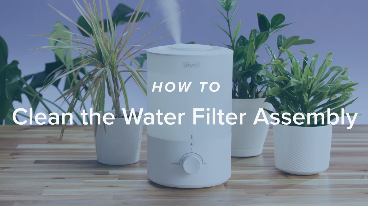 Watch How to Clean the Water Filter of Dual 150 on Amazon Live