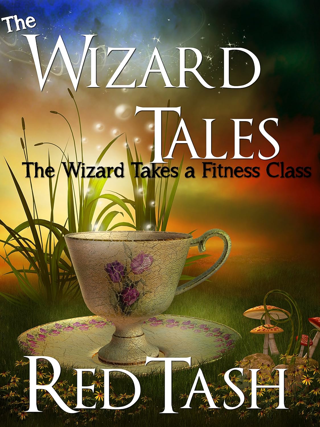 Amazon.com: The Wizard Takes a Fitness Class (The Wizard Tales Book 2 ...