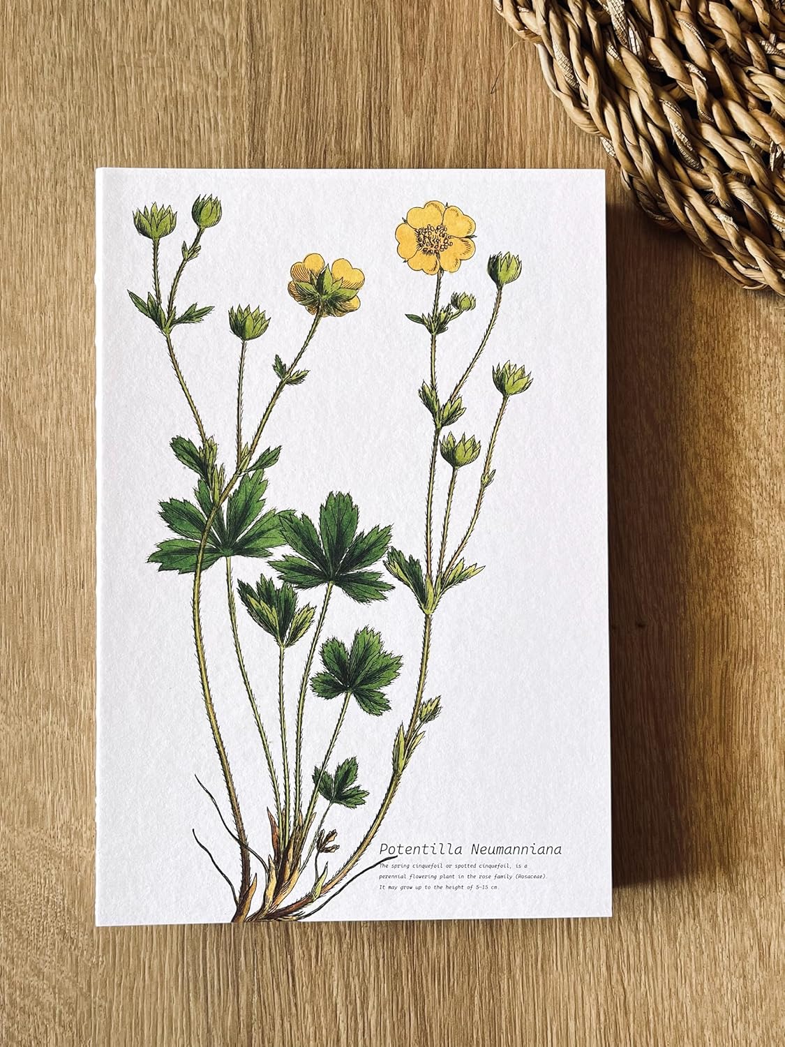 Fark Tanıtım Özel Tasarım Kapaklı A5 Çizgisiz Defter - 180 Derece ...