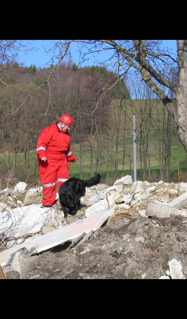 Rescue Dog Wallpaper -- HD Wallpapers of Rescue Dogs! - App on the ...