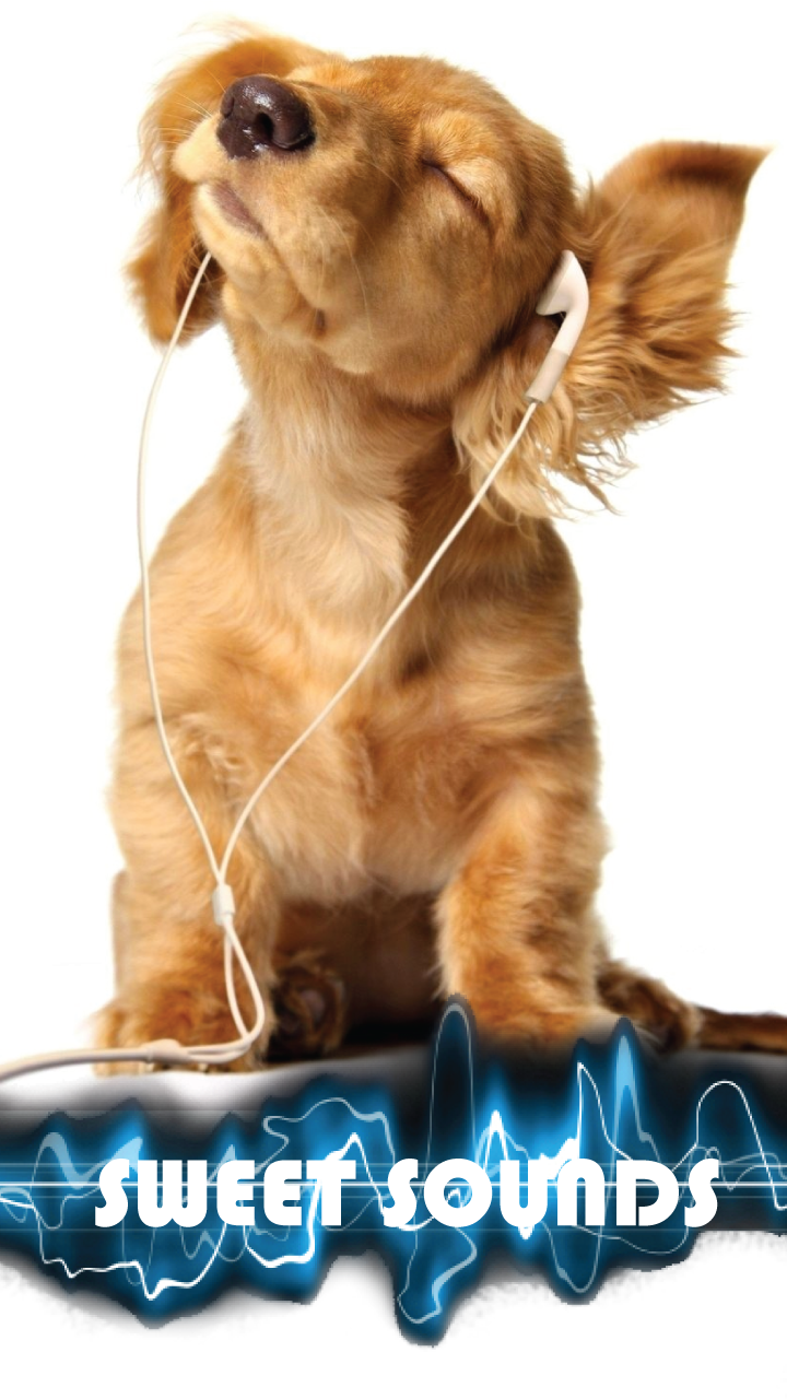 Puppy Sound Games: app su Amazon Appstore