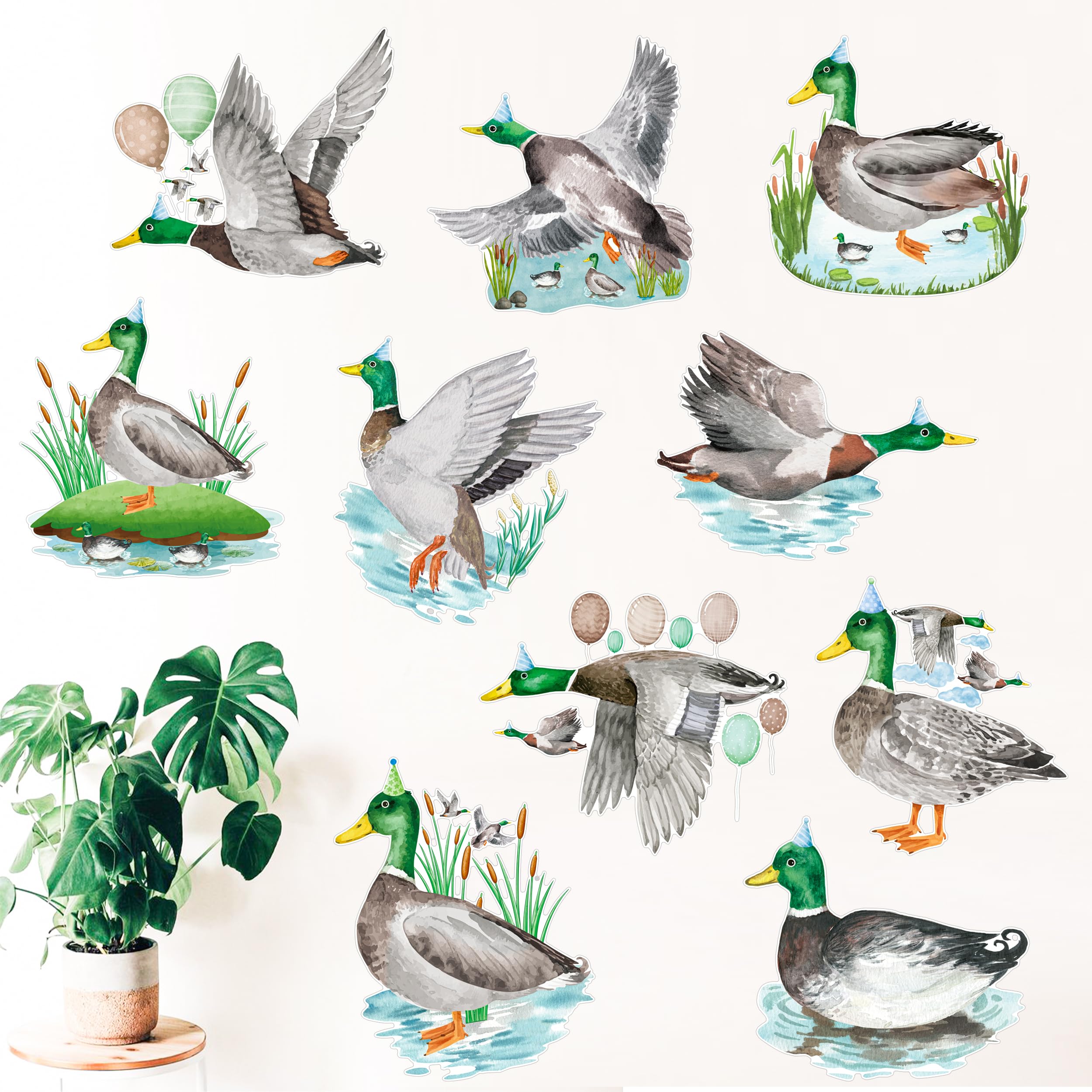 Amazon.com: 10pcs Mallard Ducks Cutouts Mallard Duck Party Cut-Outs ...