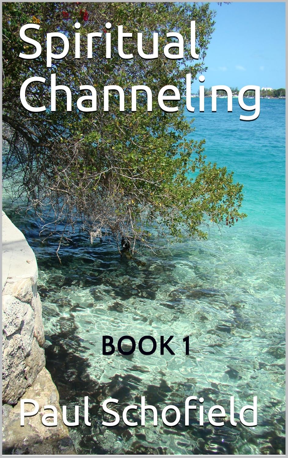 Spiritual Channeling: Book 1 - Kindle edition by Schofield, Paul ...