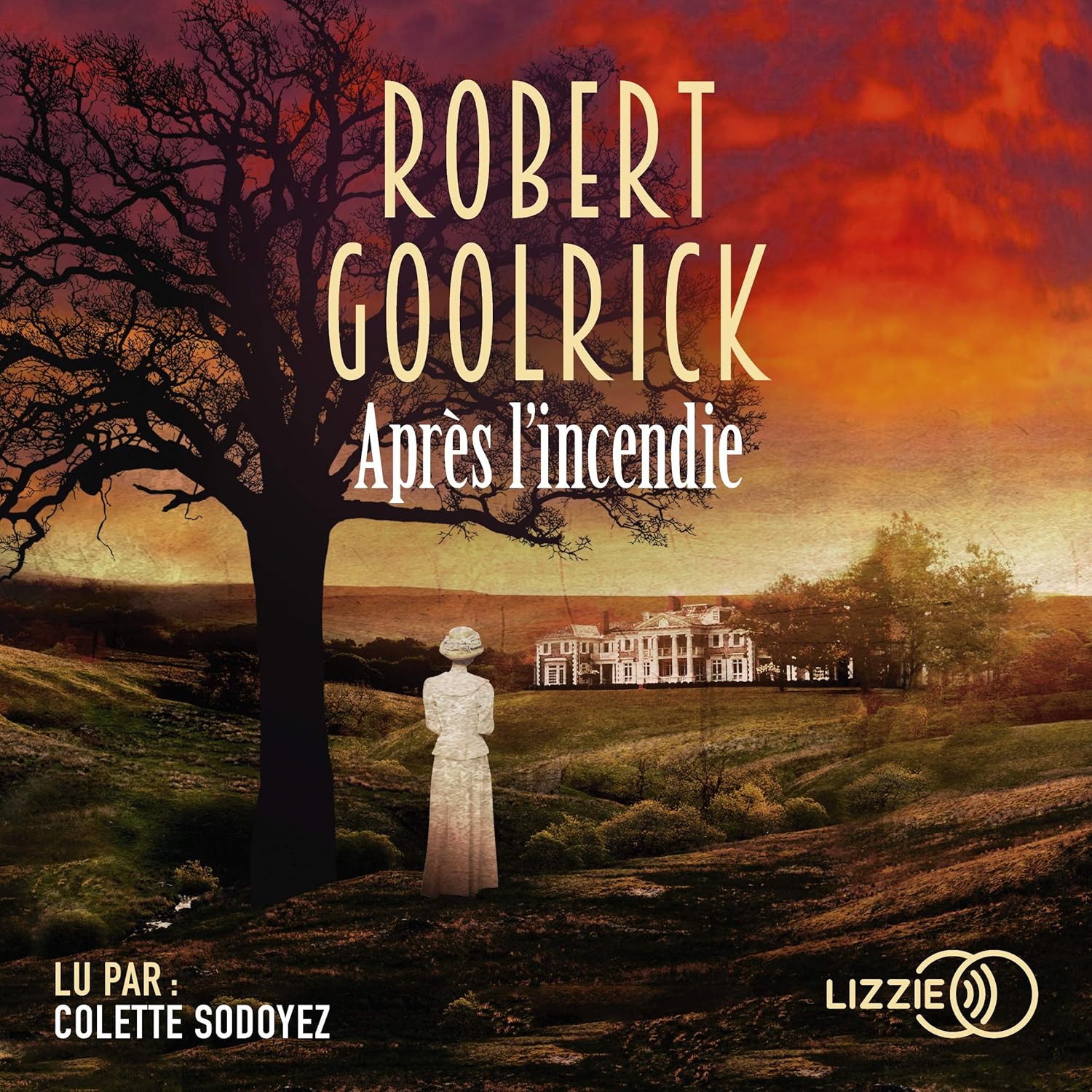 Amazon.com: Après l'incendie (Audible Audio Edition): Robert Goolrick ...