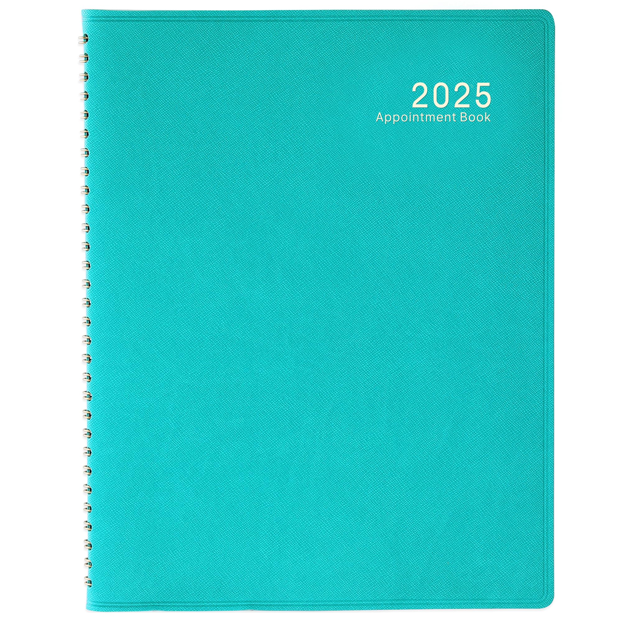 Snapklik.com : 2025 Weekly Appointment Book/Planner - 53 Weeks Daily ...