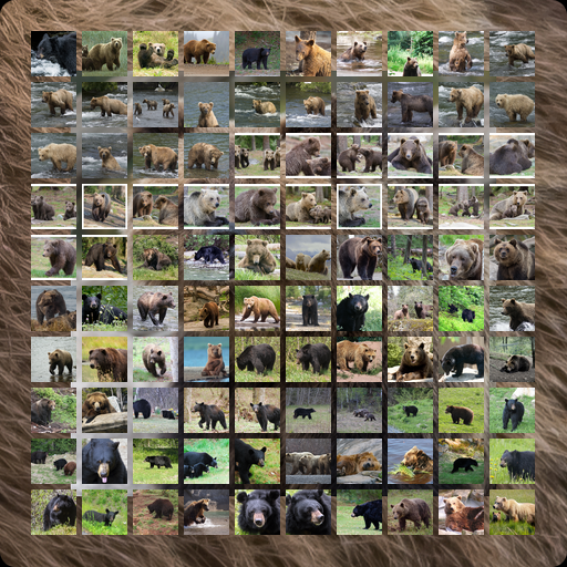 Bear Wallpaper App - App on Amazon Appstore
