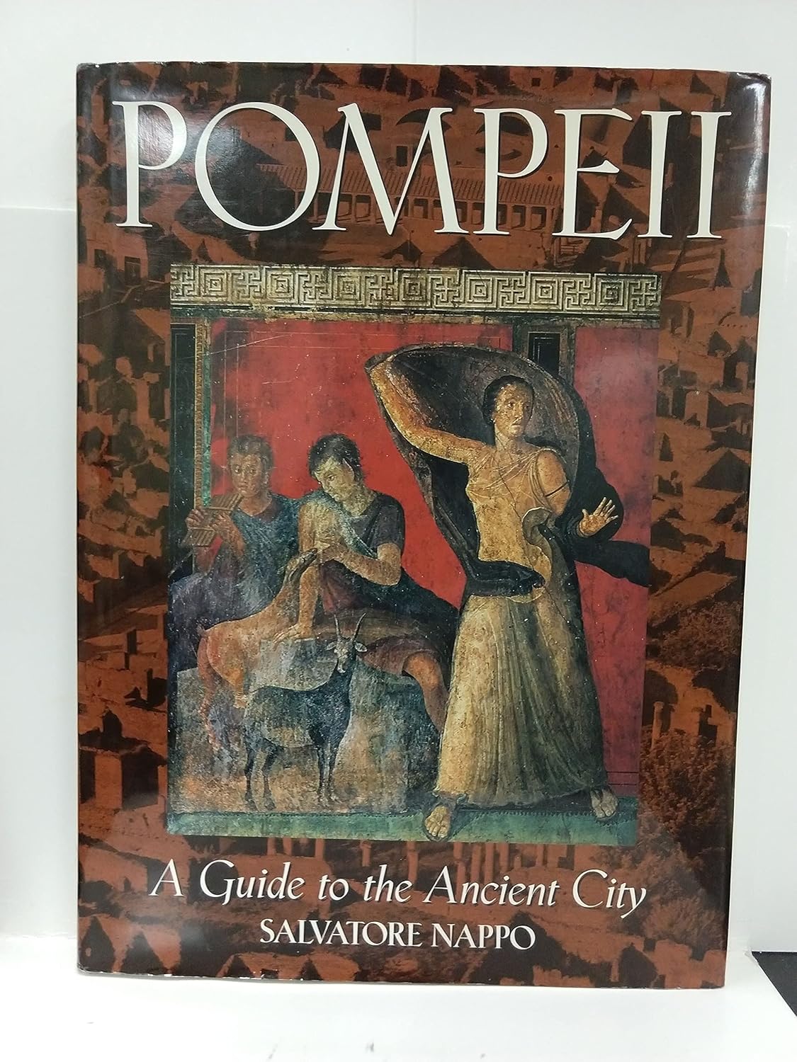 Pompeii A Guide to the Ancient City: Nappo, Salvatore: 9780760712351 ...