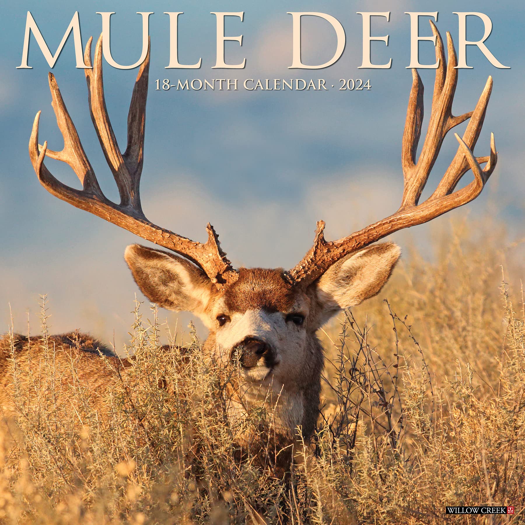 Amazon.com: Mule Deer 2024 Calendar: 9781549234552: Willow Creek Press ...
