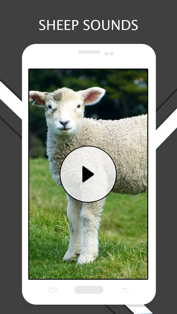 Sheep Sounds - App on Amazon Appstore