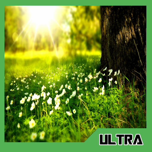 Morning Greeting Cards - App on Amazon Appstore