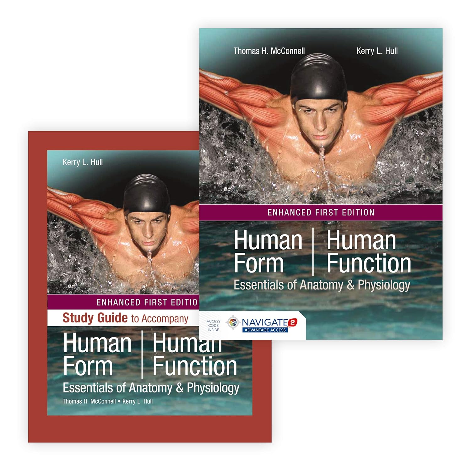 Bundle of Human Form, Human Function: Essentials of Anatomy ...