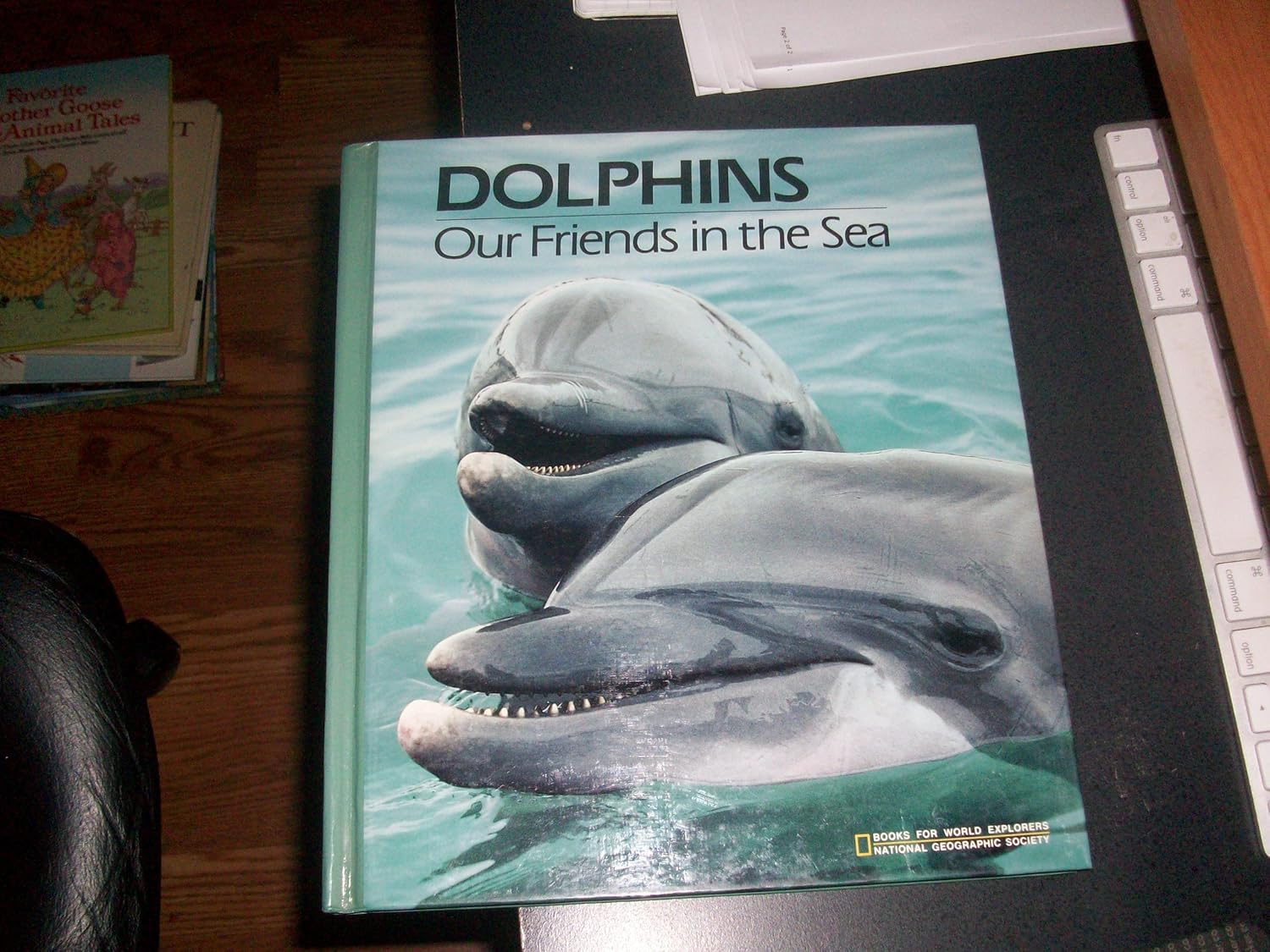 Dolphins, Our Friends in the Sea: Dolphins and Other Toothed Whales ...