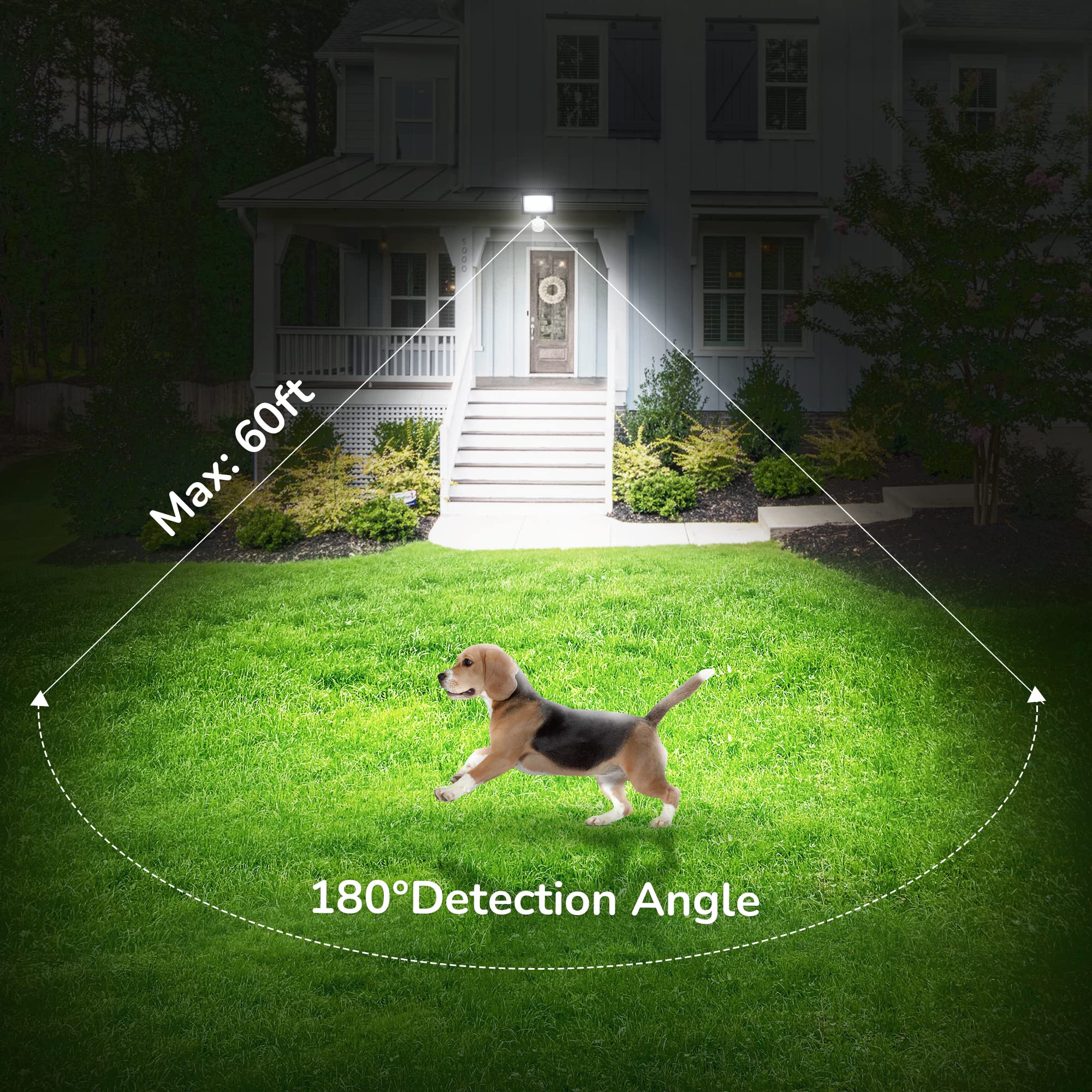 Snapklik.com : Motion Sensor, Automatic Dusk To Dawn, 120V AC Motion ...