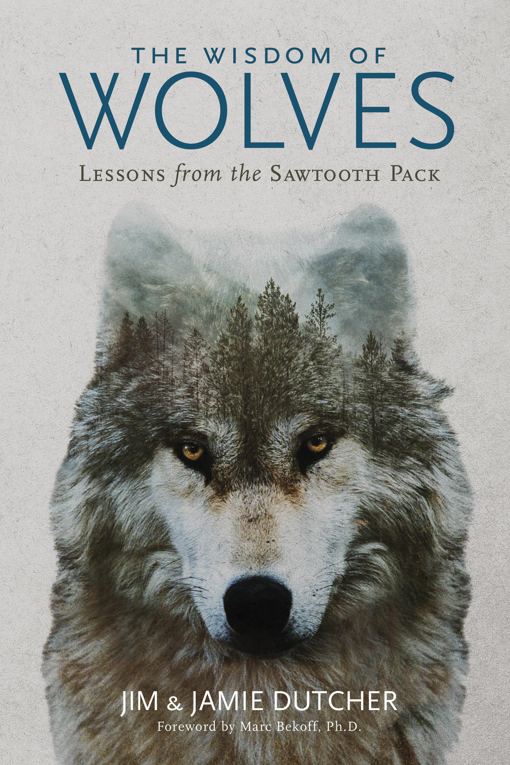 Amazon.com: The Wisdom of Wolves: Lessons From the Sawtooth Pack ...