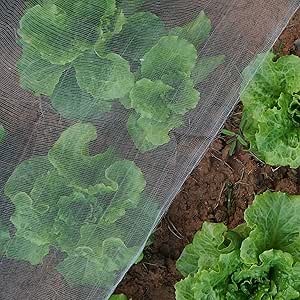 rden Netting for Veg Patch Fine Mesh, 3x6m 40GSM Insect Protection Net ...