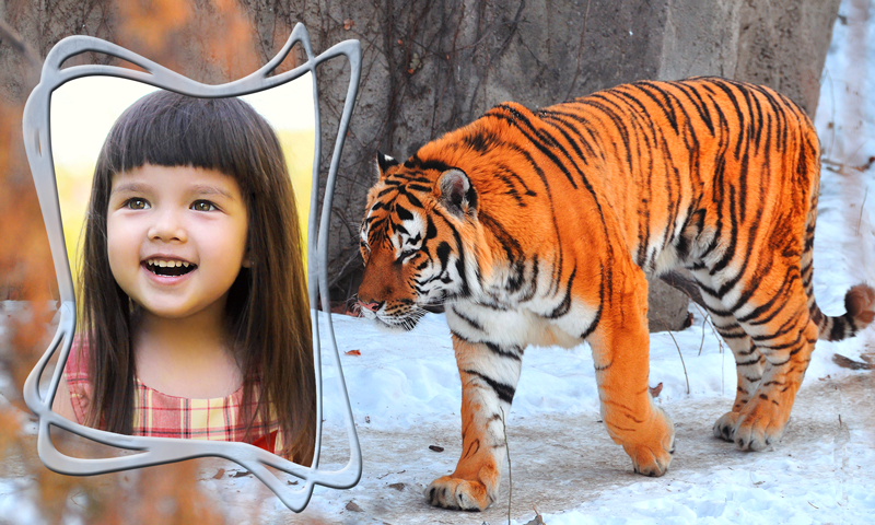 Tiger Photo Frames - App on Amazon Appstore