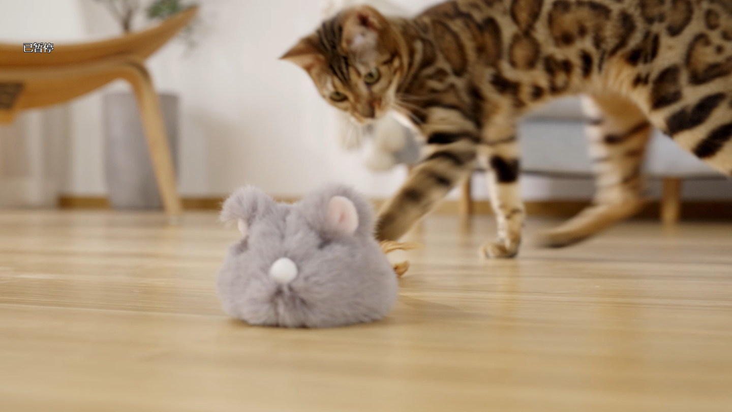 Watch Interactive cat toy simulates raw hunting instinct for cats on ...