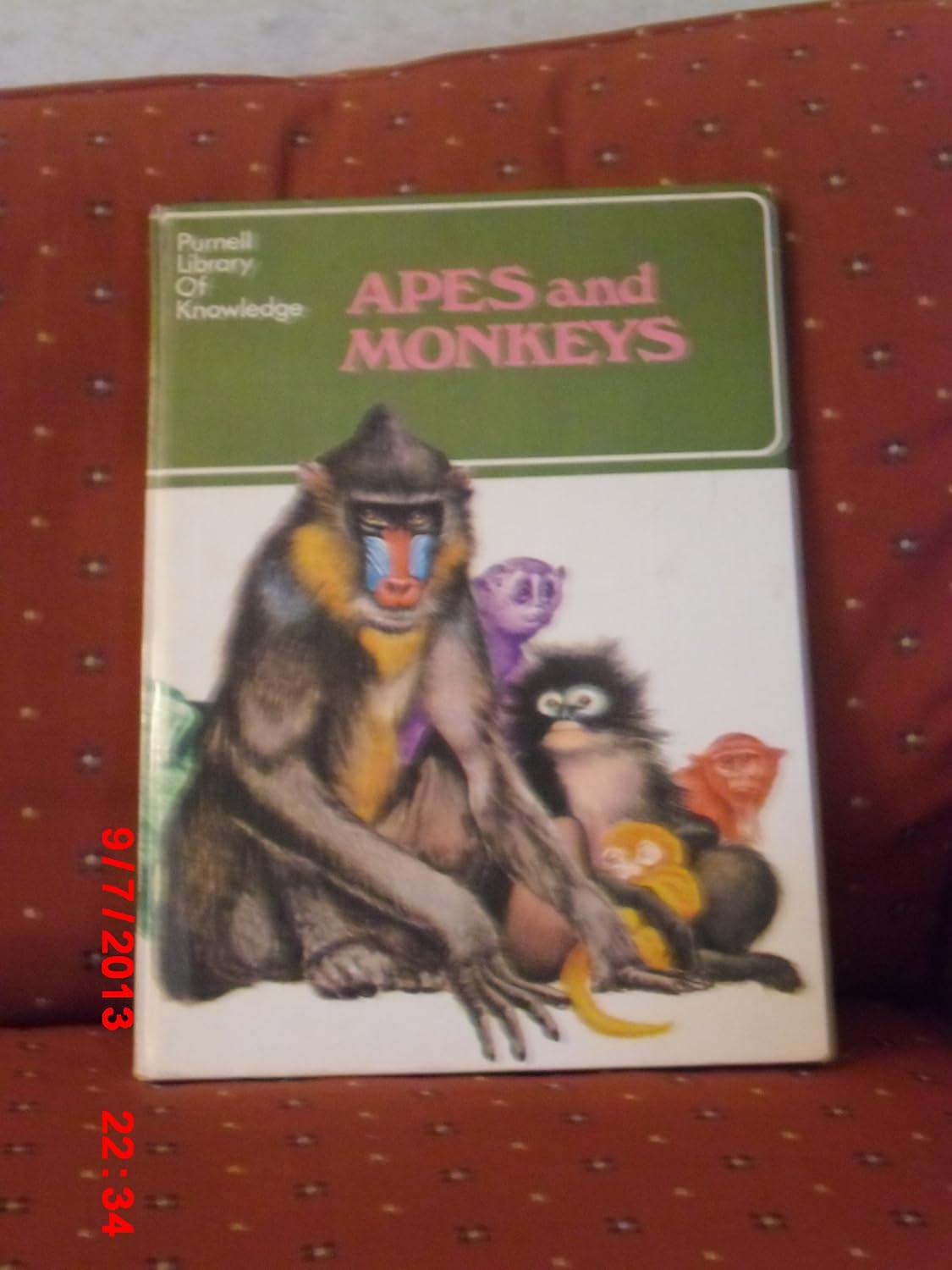 Apes and Monkeys (Library of Knowledge): Roots, Clive, Orr, Richard ...