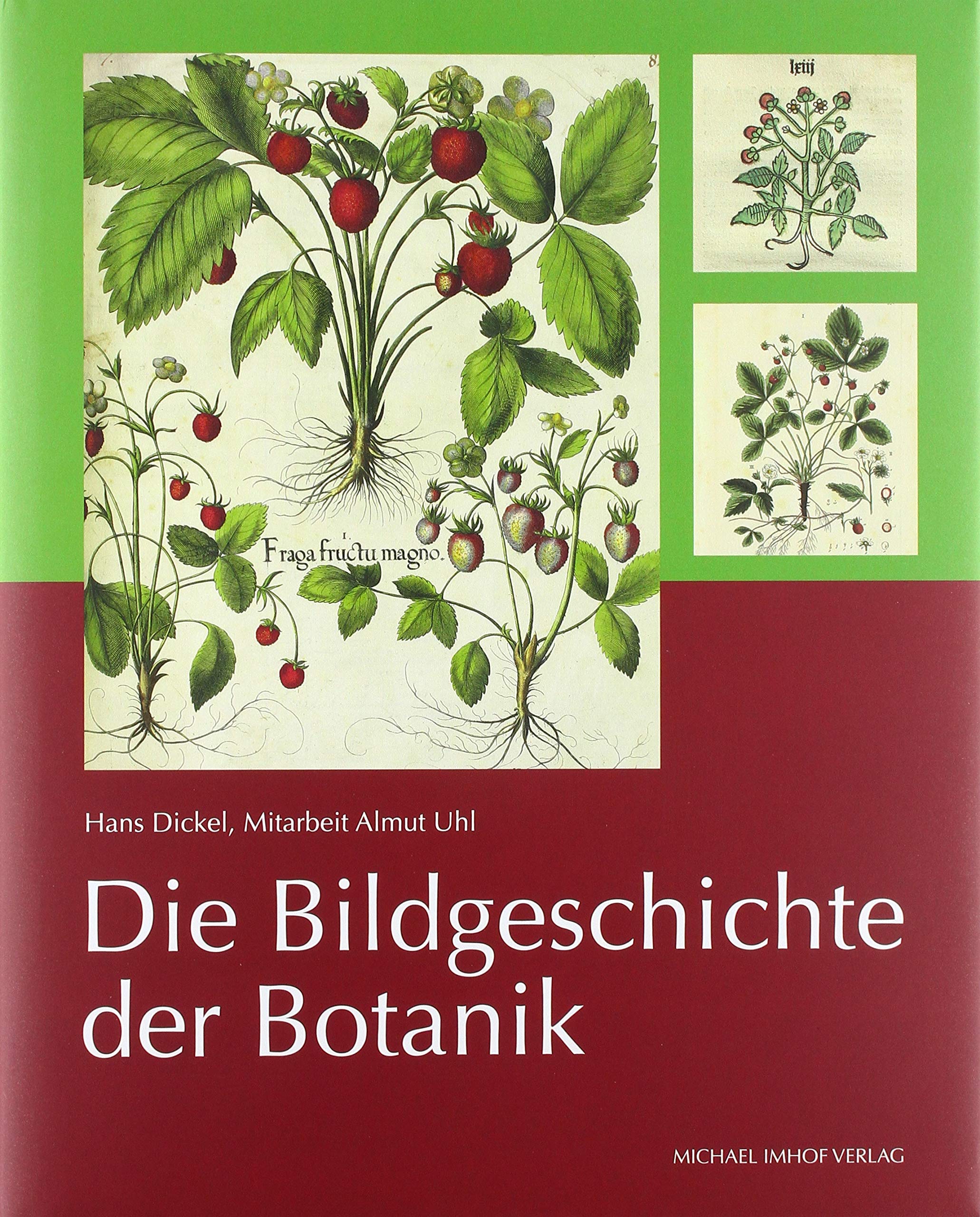 Die Bildgeschichte der Botanik - Pflanzendarstellungen aus vier ...