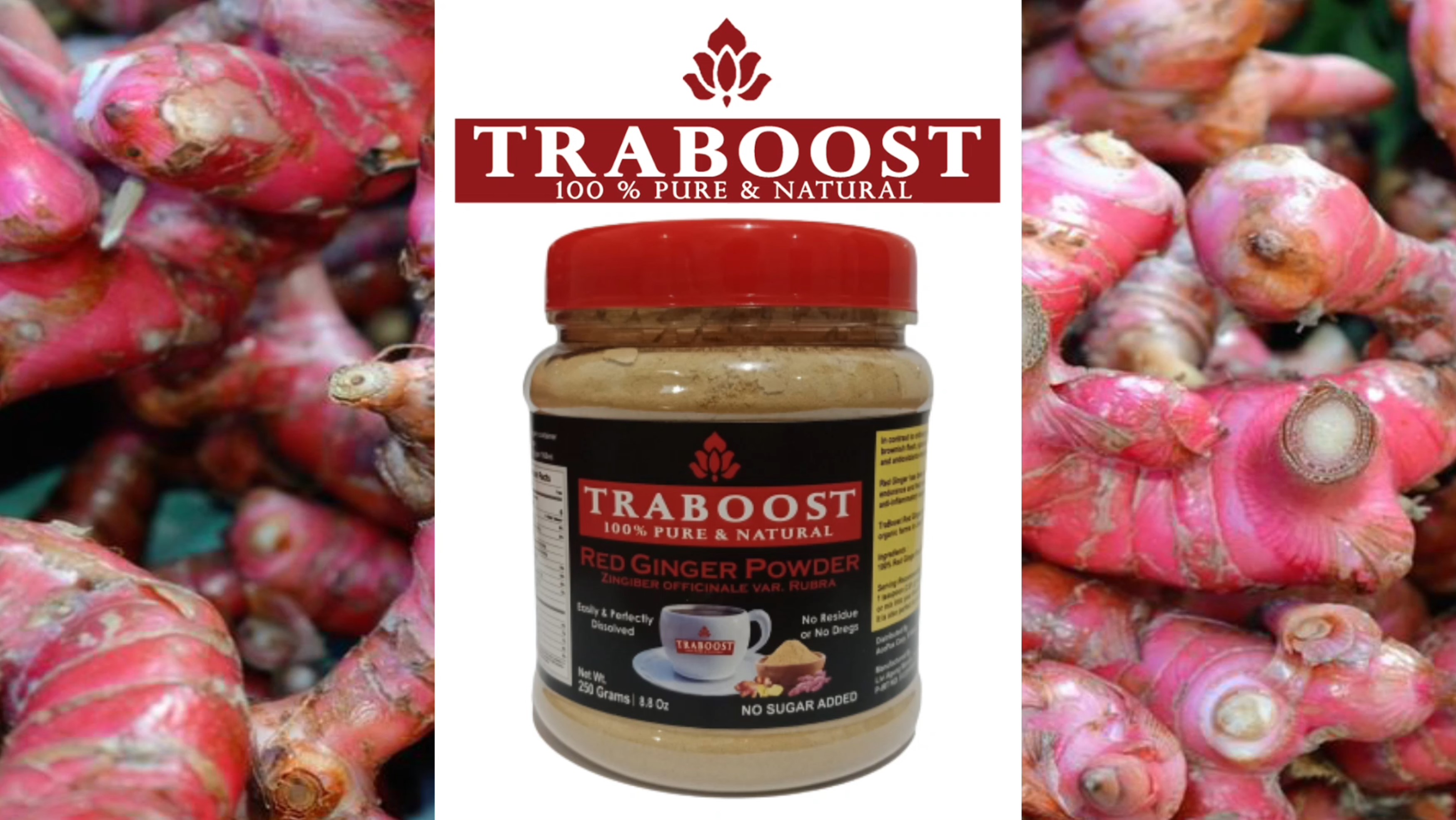 Red Ginger Rhizome Chinese New Crop Super Quality Ginger Fresh