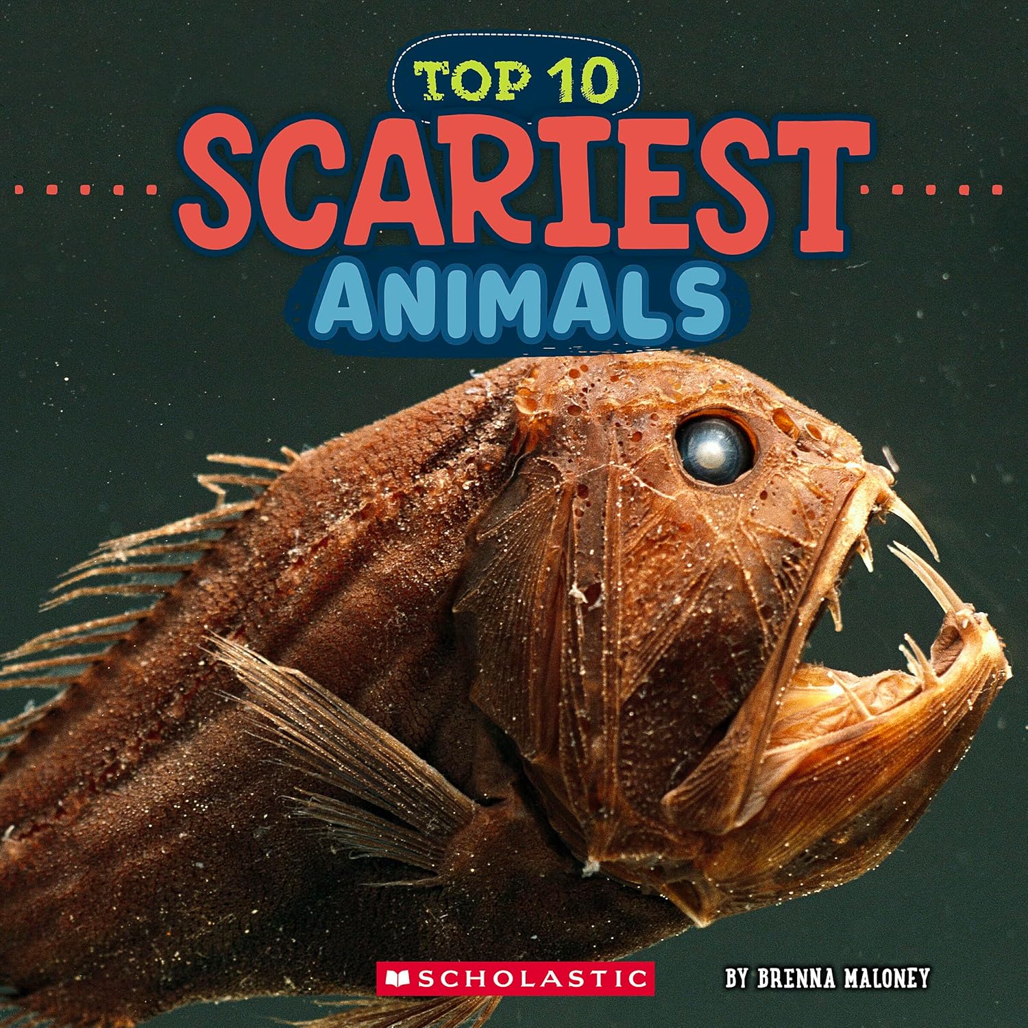 Top 10 Scariest Animals (Wild World): Maloney, Brenna: 9781546136088 ...