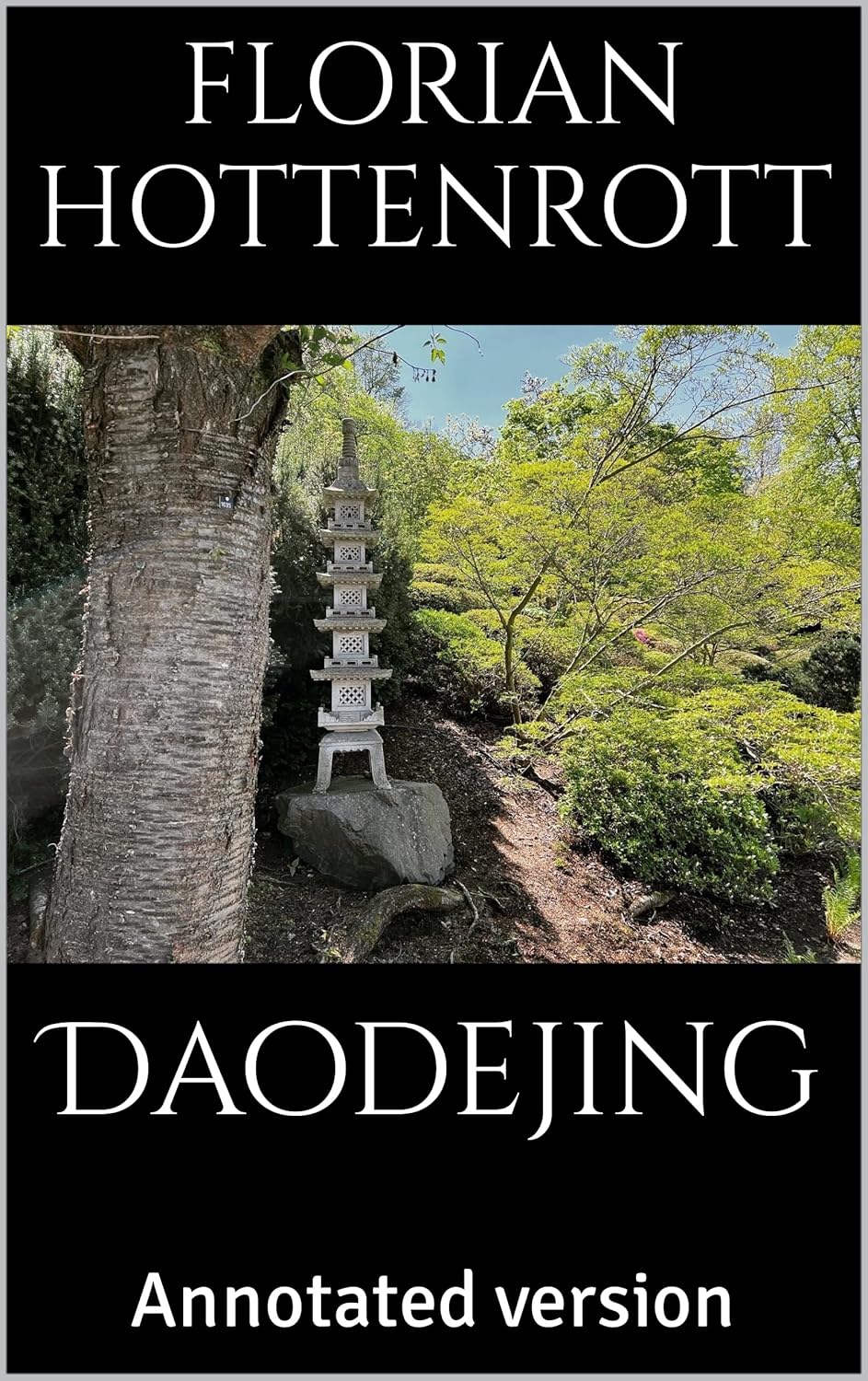 Amazon.com: Daodejing: Annotated version eBook : Hottenrott, Florian ...