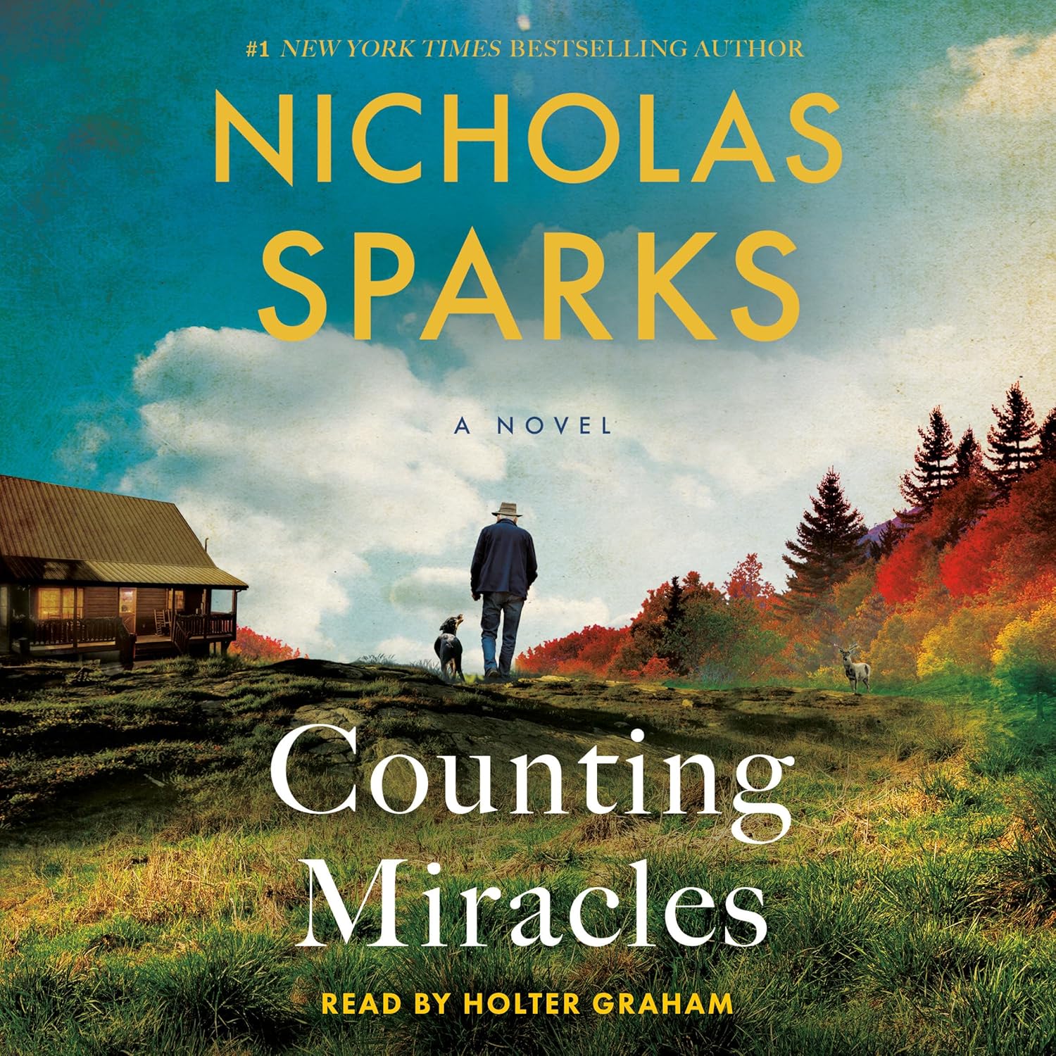 Counting Miracles : Sparks, Nicholas, Graham, Holter: Amazon.fr: Books