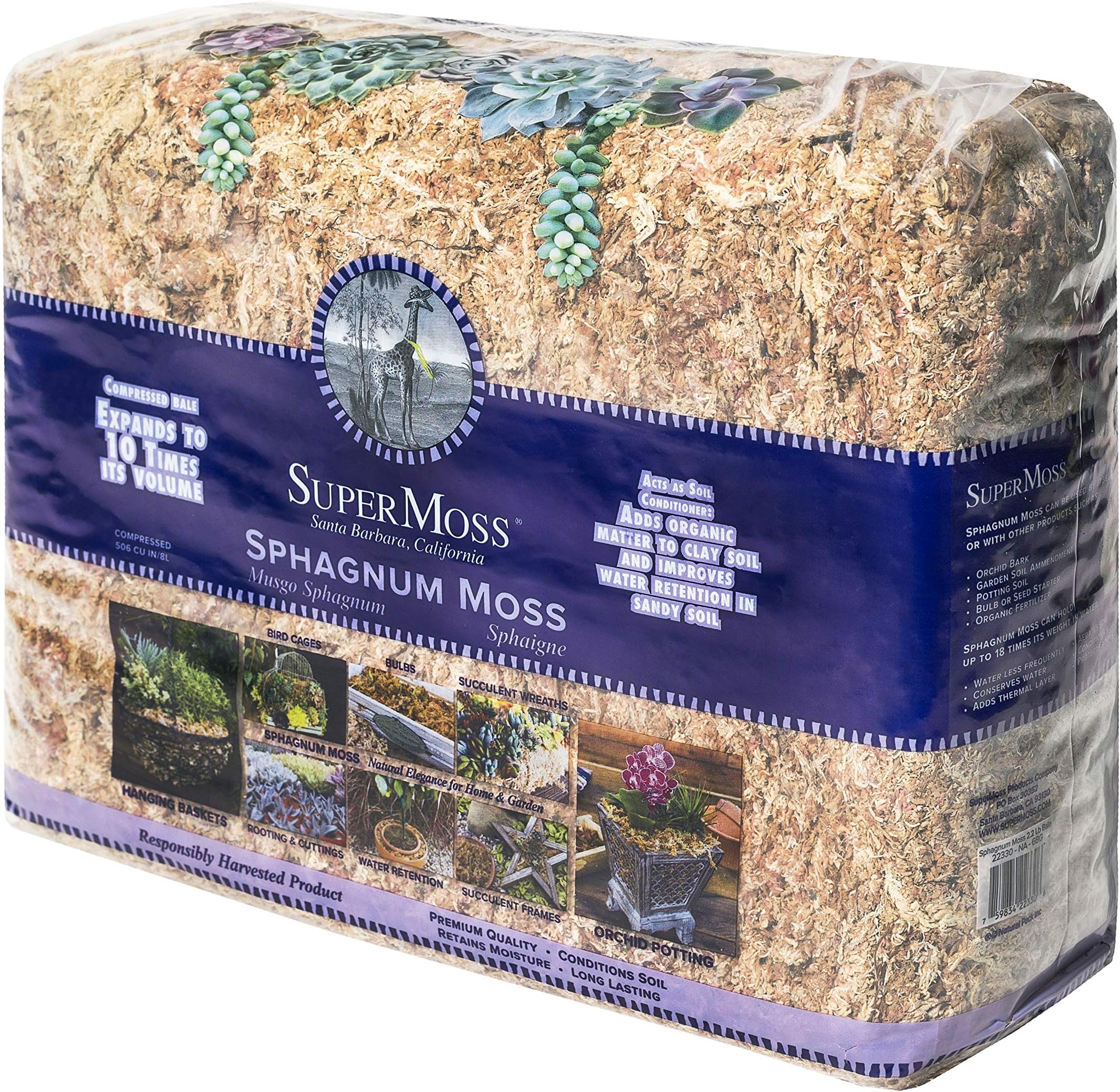 Amazon.com: Spagmoss Premium New Zealand Sphagnum Moss for All Types of ...