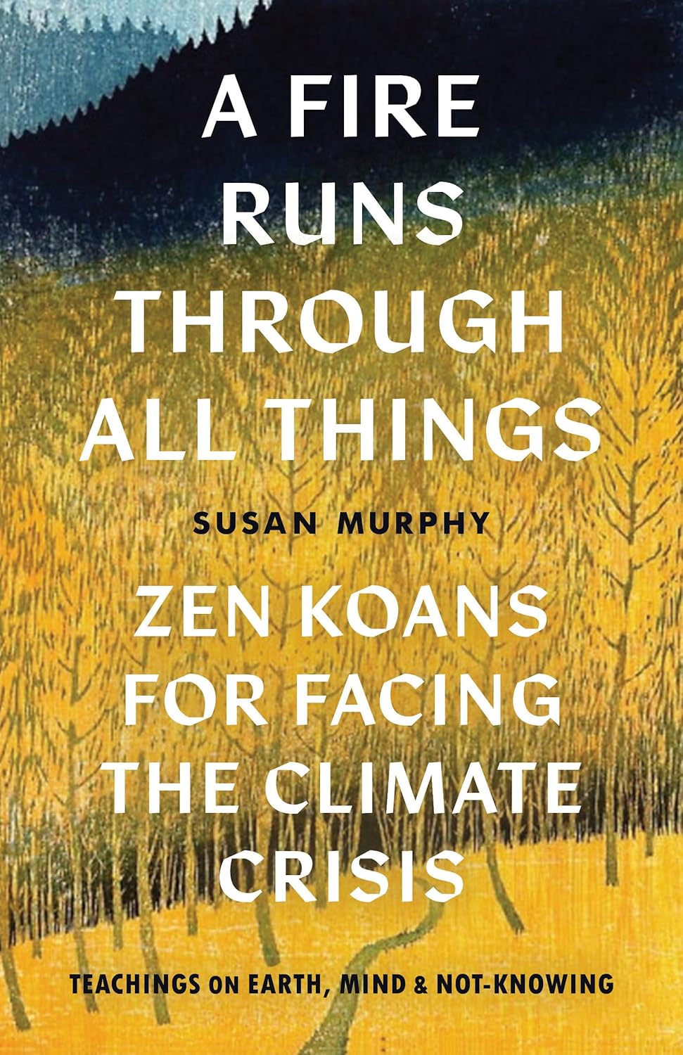 Amazon.com: A Fire Runs through All Things: Zen Koans for Facing the ...