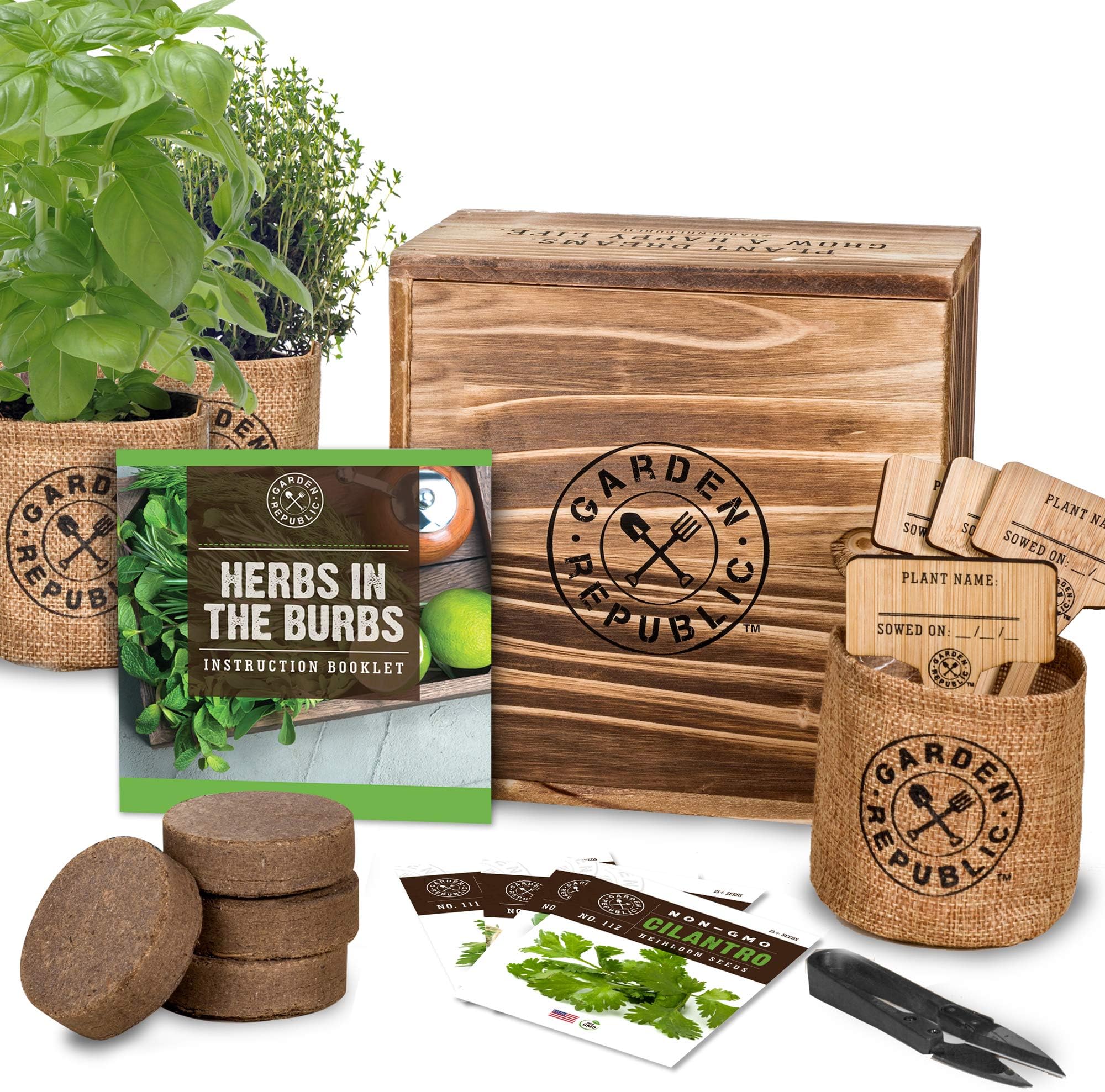 Amazon.com : Indoor Herb Garden Starter Kit - Kitchen Herb Garden ...