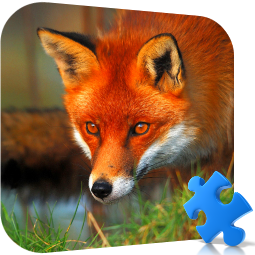 Fox Game Puzzle - App on Amazon Appstore