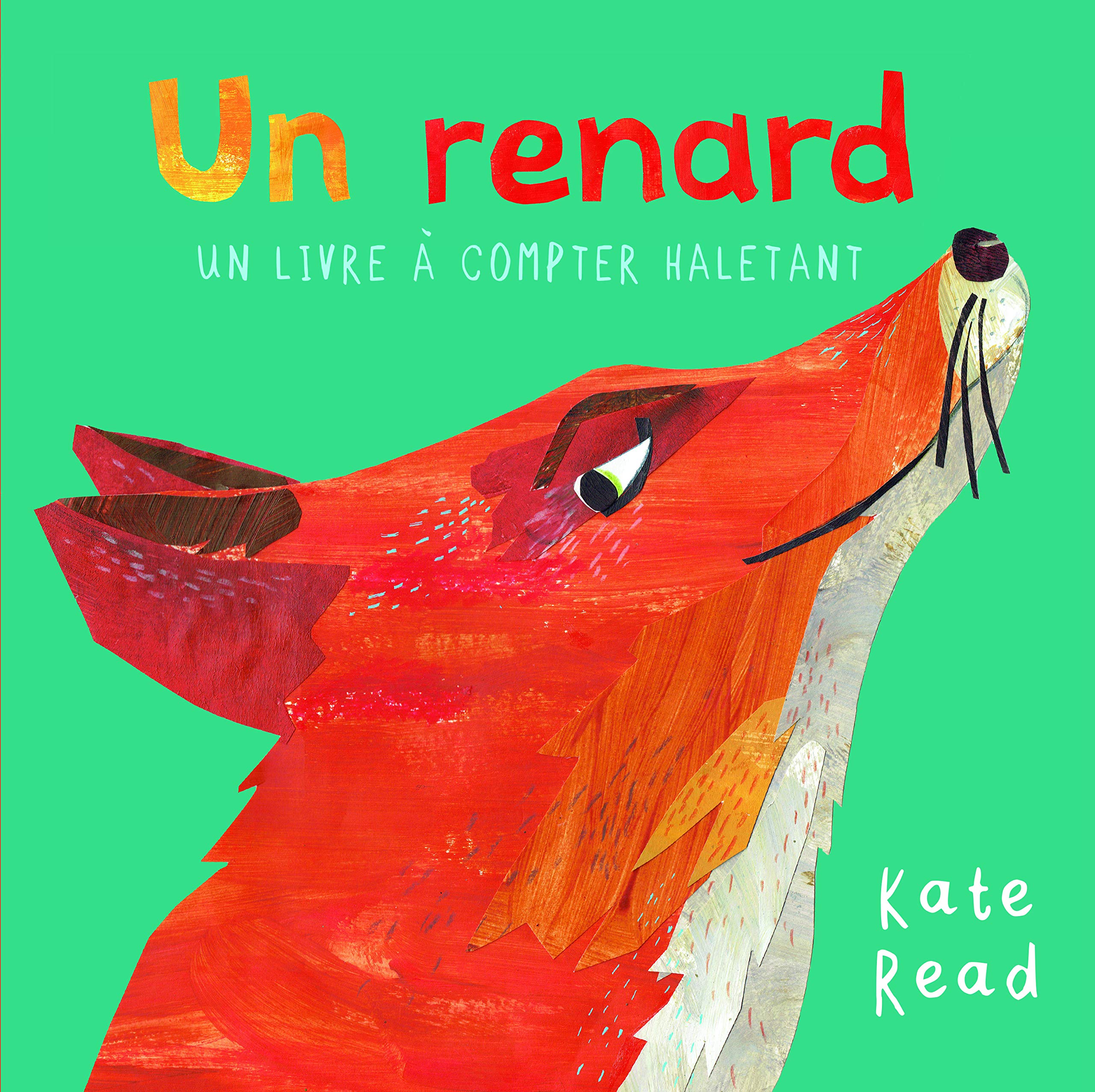 Zorro Renard Magnifique Renard De Magellan Aussi Appelé Renard Des