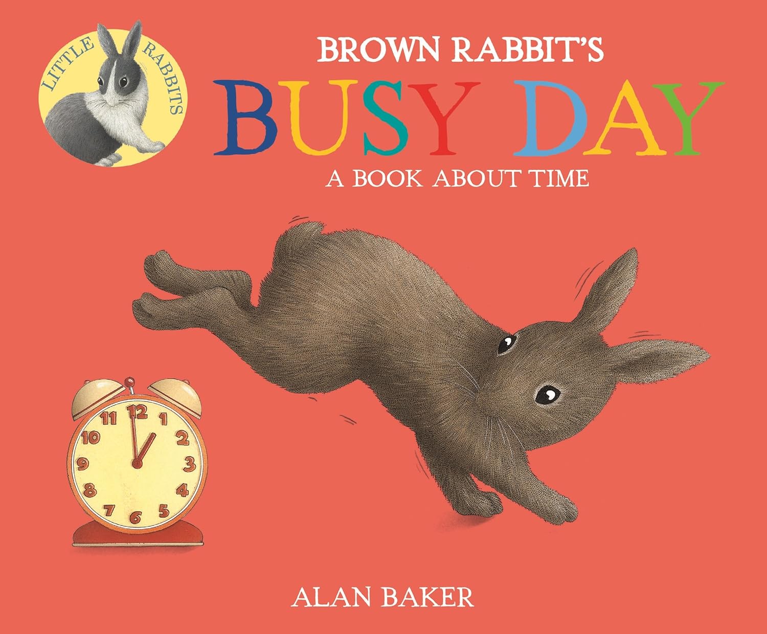Amazon.com: Brown Rabbit's Busy Day (Little Rabbit Books ...