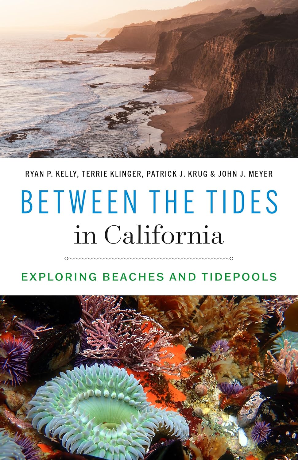 Amazon.com: Between the Tides in California: Exploring Beaches and ...