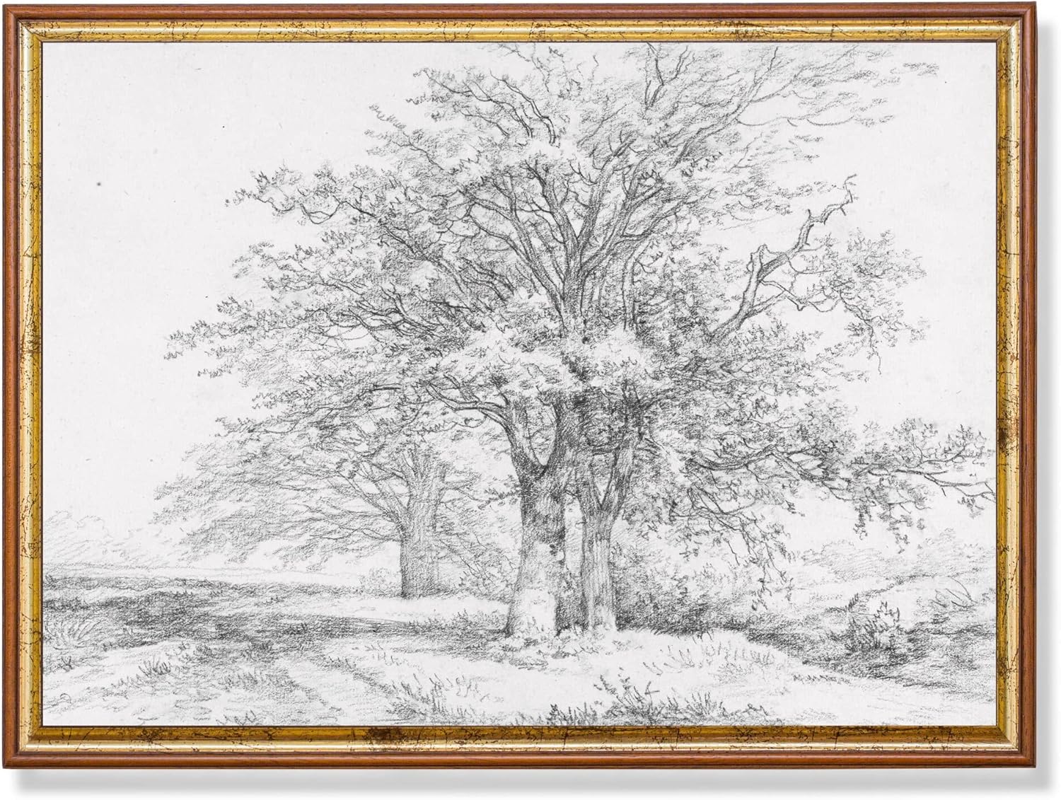 Amazon.com: Vintage Sketch Drawing, Antique Landscape Drawing, Trees ...