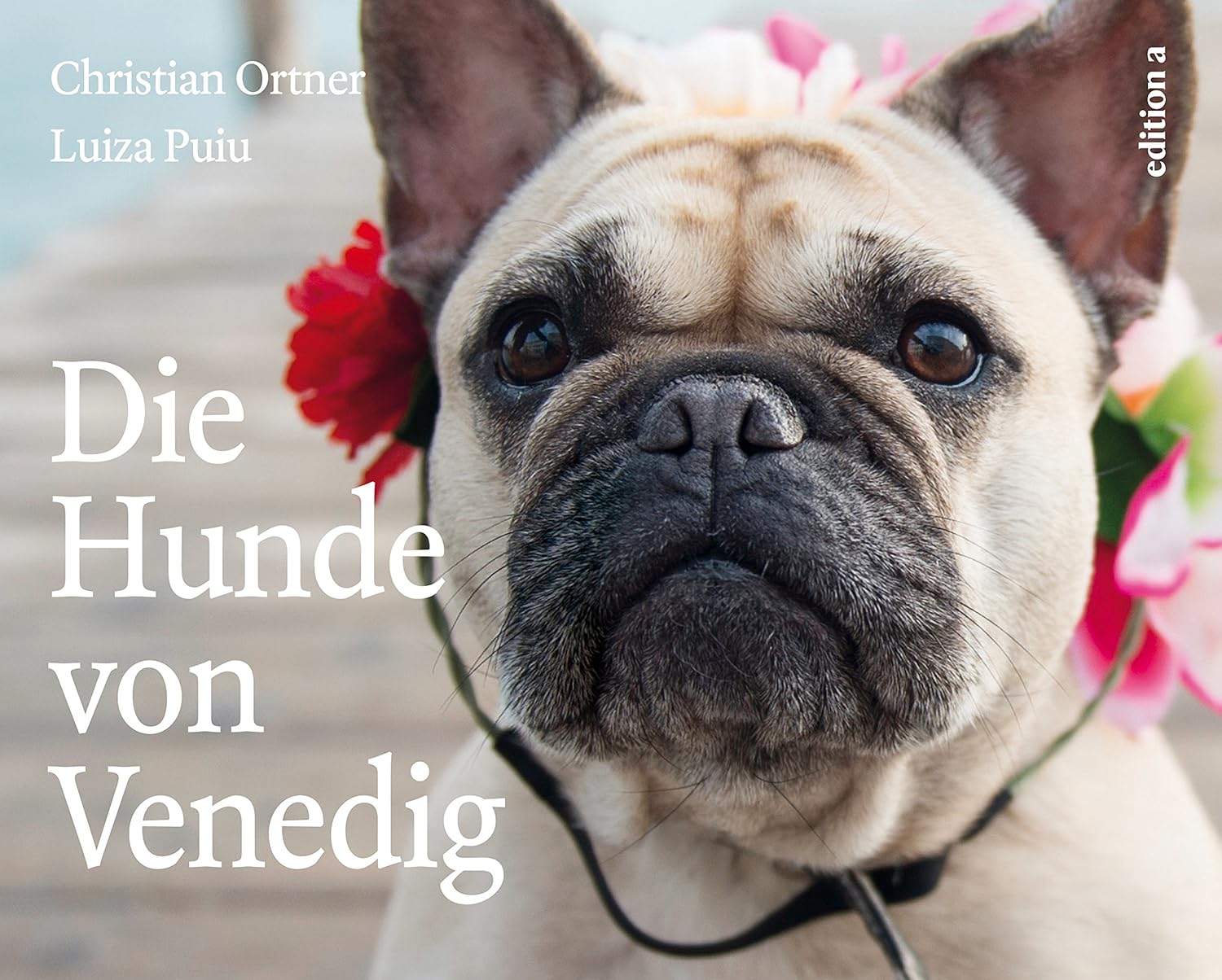 Die Hunde von Venedig : Christian Ortner, Luiza Puiu: Amazon.de: Bücher