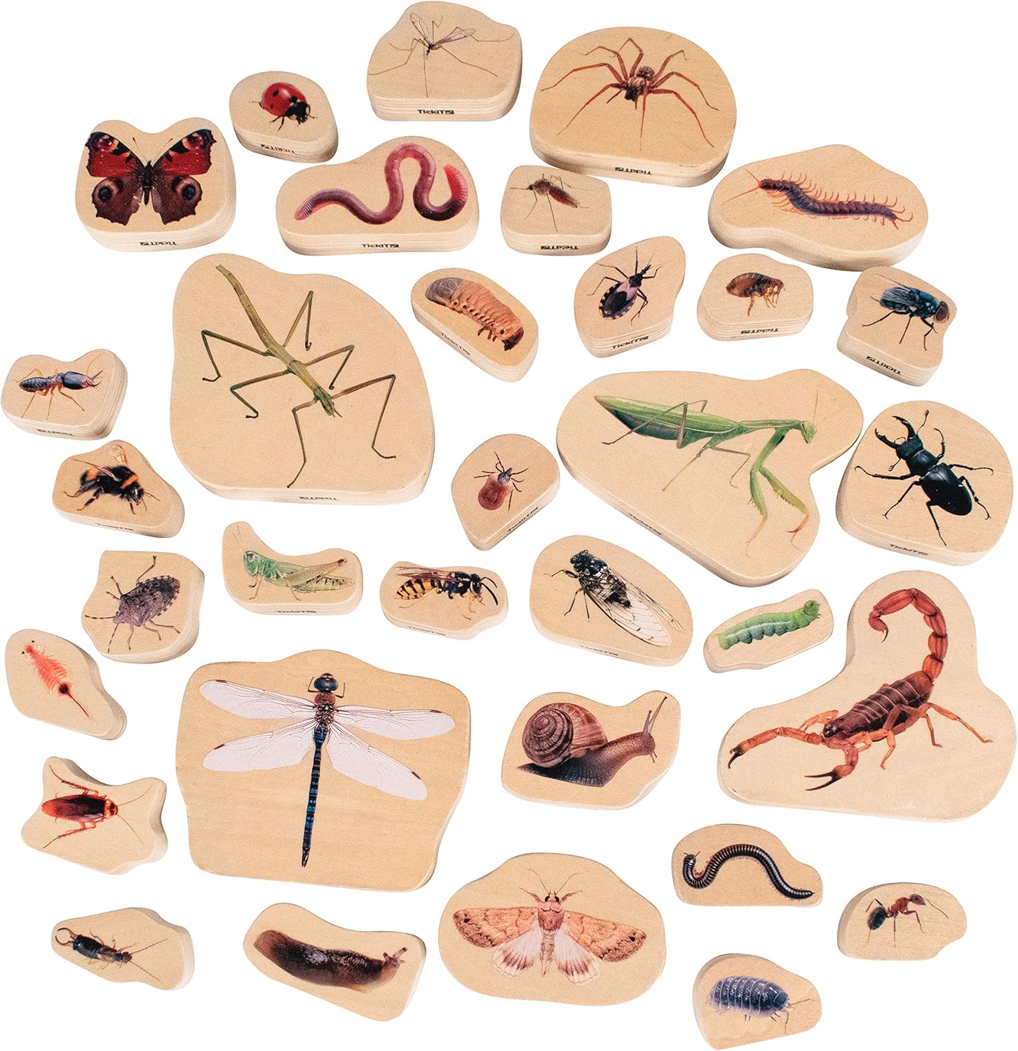 Amazon.com: TickiT Wooden Minibeast Blocks - Set of 33 - Bug Blocks for ...