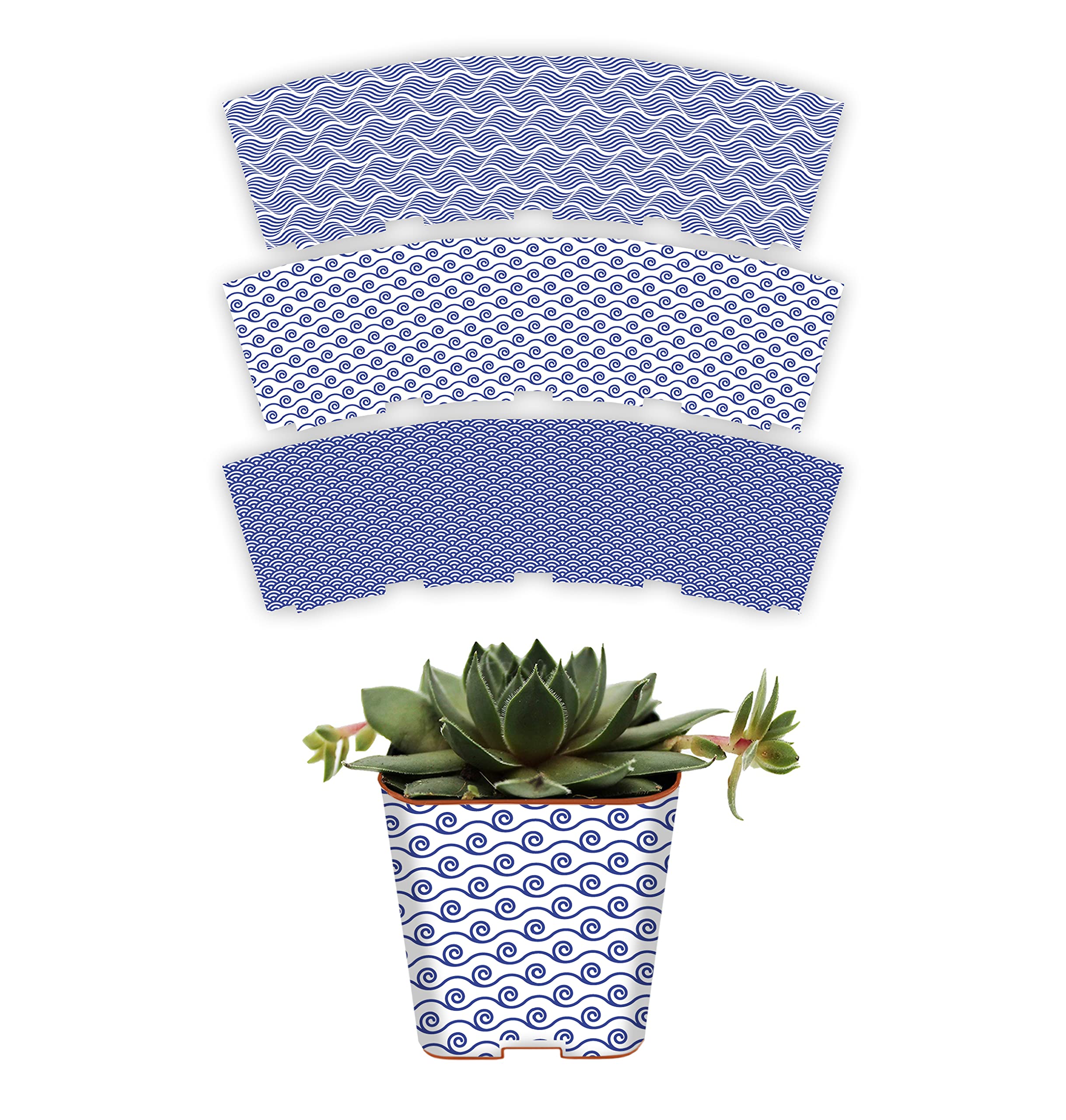 Amazon.com: Succulent Pot Wraps for Wedding Favors, Baby Shower or ...