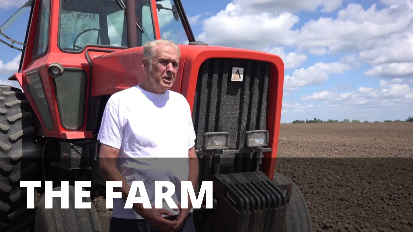 Watch Wheatgrass Farm | Dynamic Greens on Amazon Live