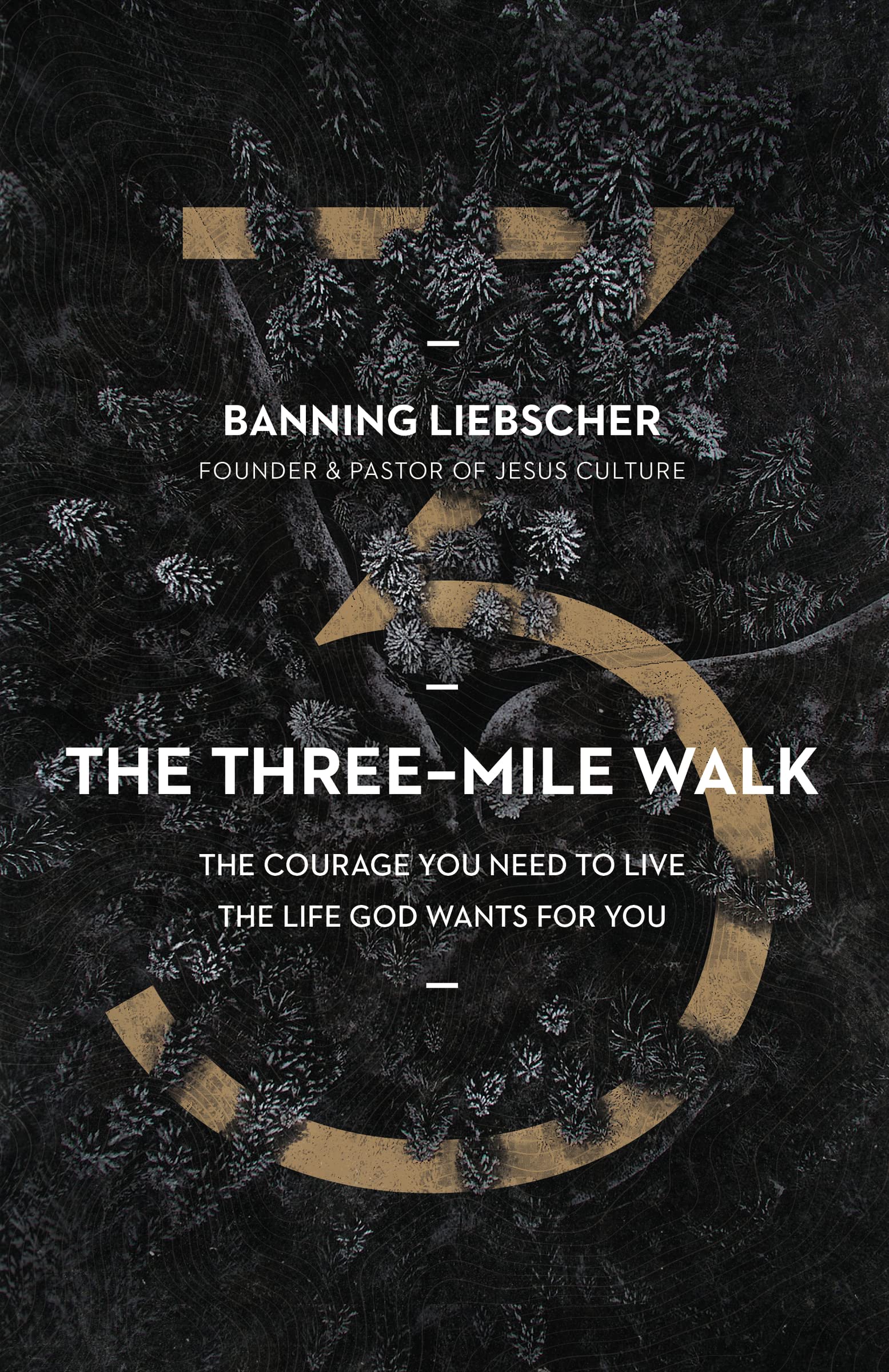 Buy The Three-Mile Walk Book Online at Low Prices in India | The Three ...