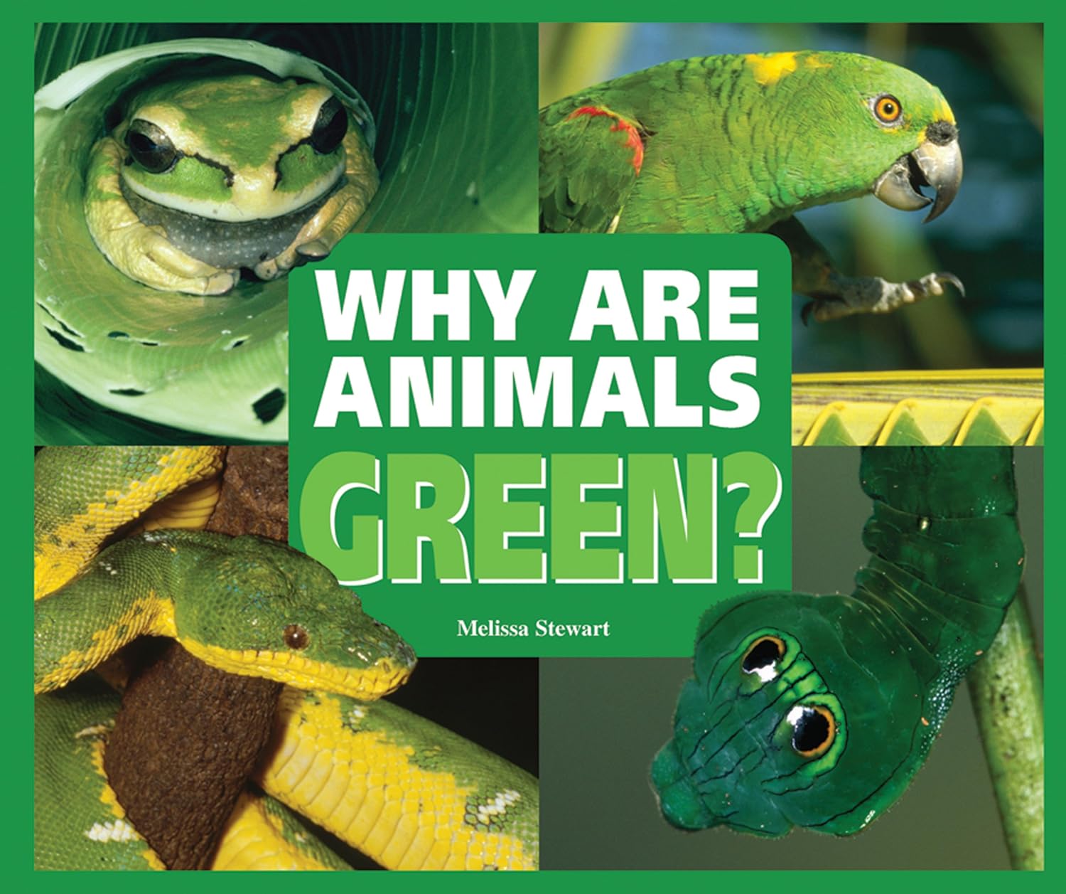 Amazon.com: Why Are Animals Green? (Rainbow of Animals): 9780766032521 ...